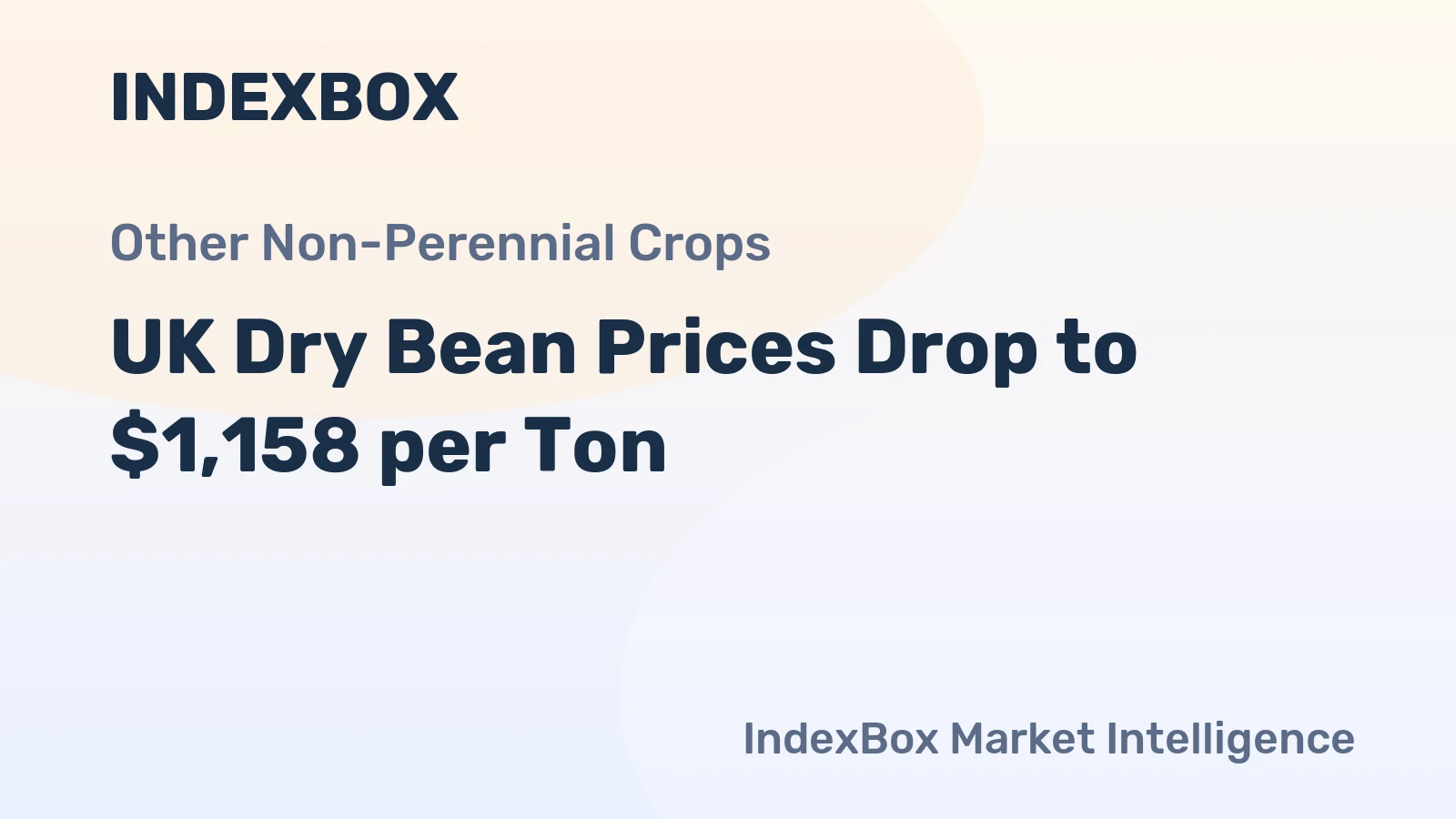 UK Dry Bean Prices Drop to $1,158 per Ton