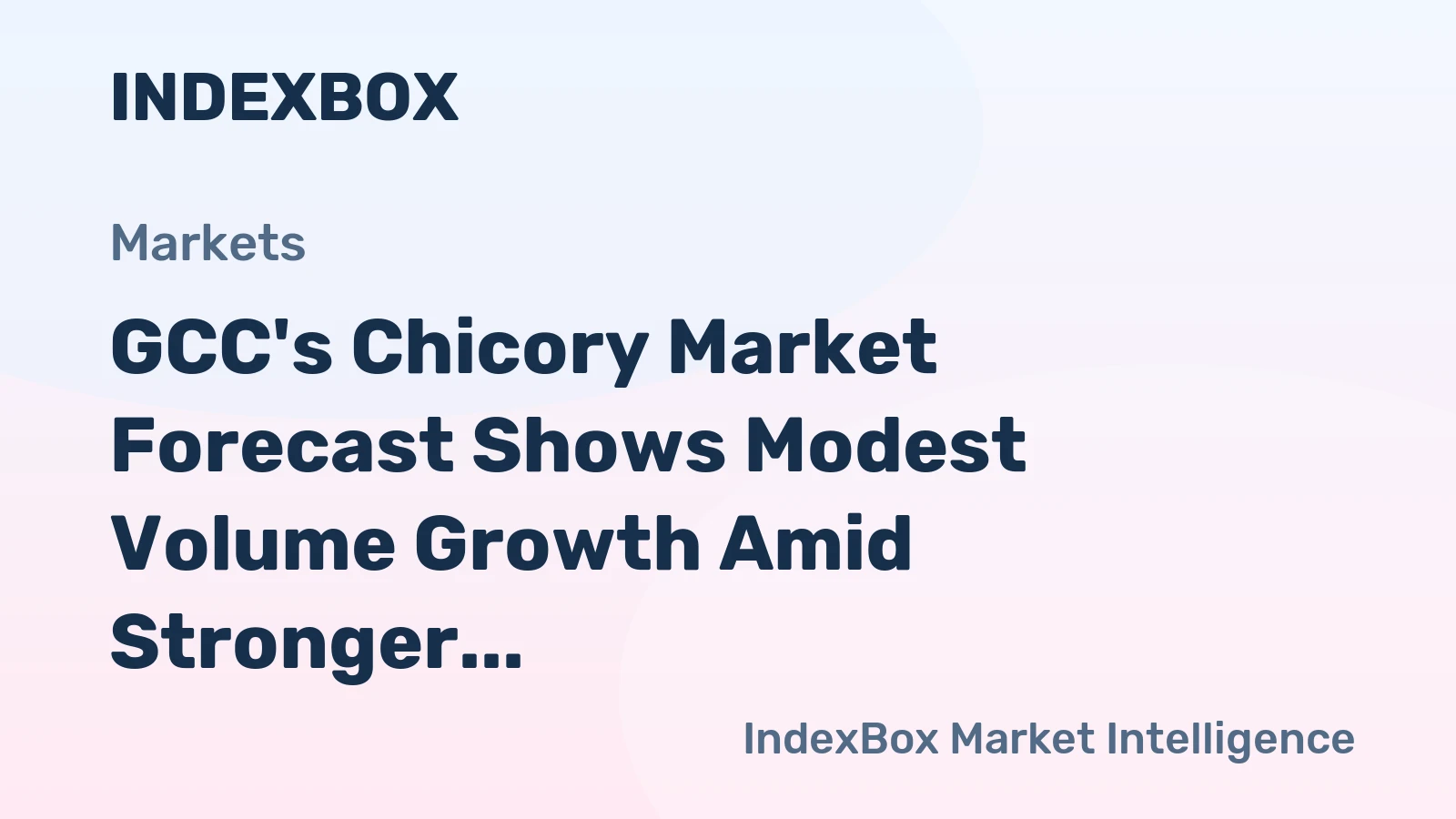 GCC's Chicory Market Forecast Shows Modest Volume Growth Amid Stronger Value Gains