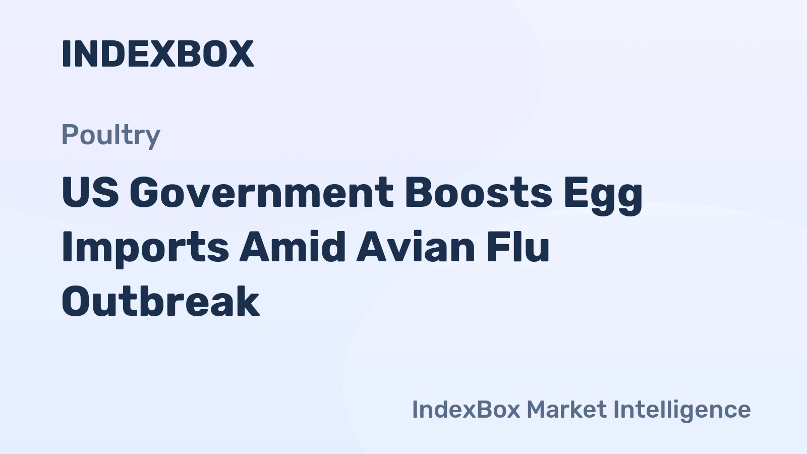 US Government Boosts Egg Imports Amid Avian Flu Outbreak