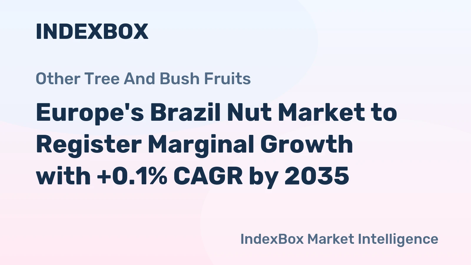 Europe's Brazil Nut Market to Register Marginal Growth with +0.1% CAGR by 2035