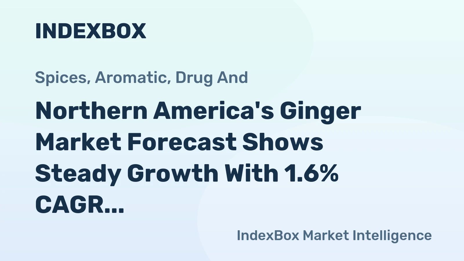 Northern America's Ginger Market Forecast Shows Steady Growth With 1.6% CAGR Through 2035