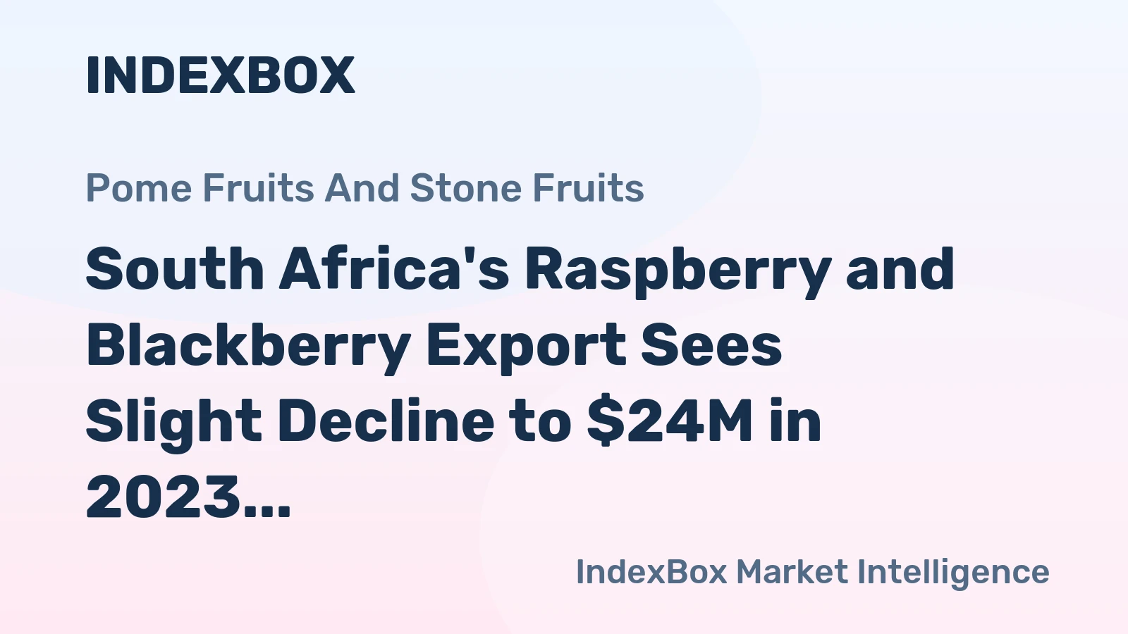 South Africa's Raspberry and Blackberry Export Sees Slight Decline to $24M in 2023