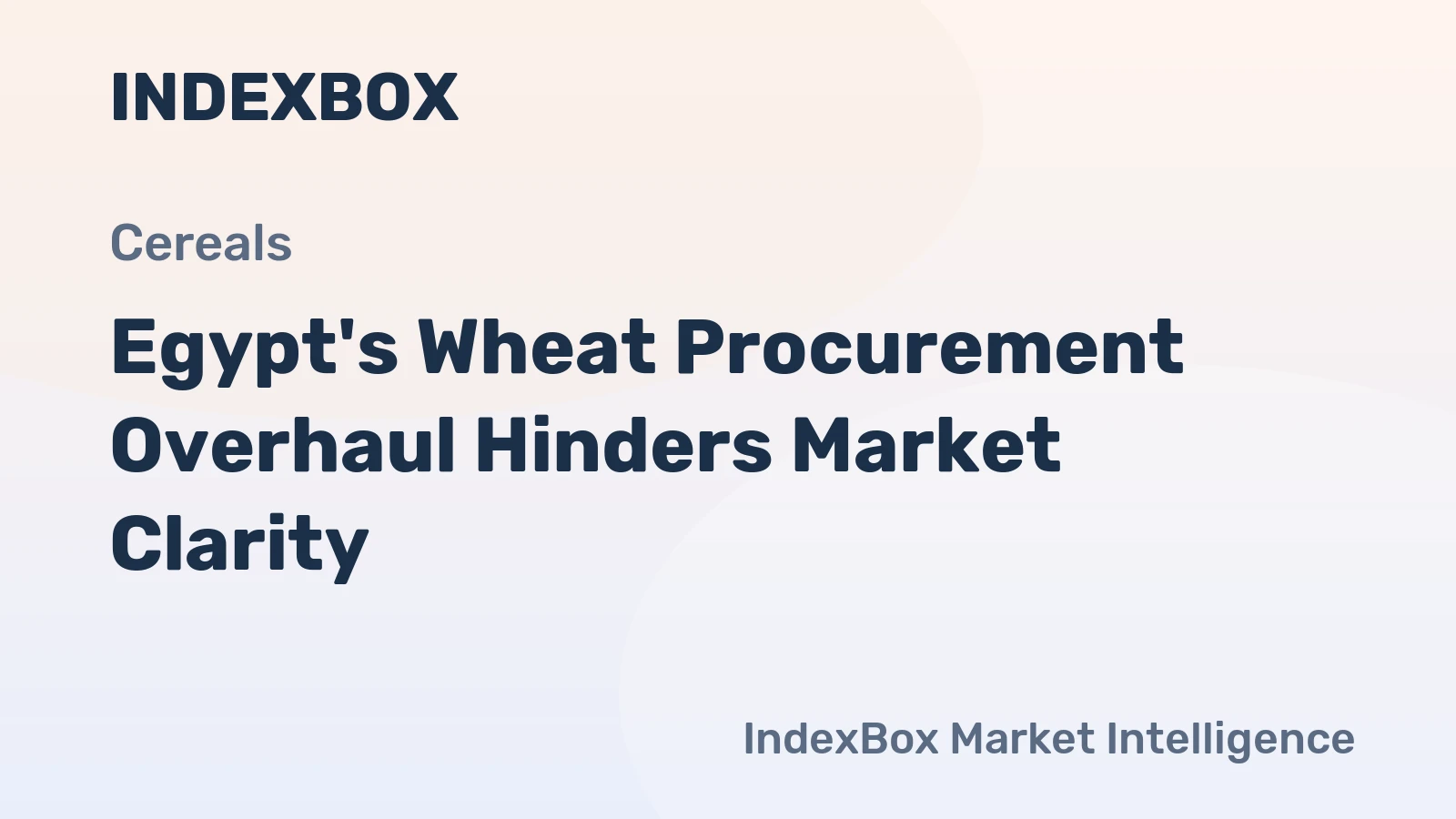 Egypt's Wheat Procurement Overhaul Hinders Market Clarity