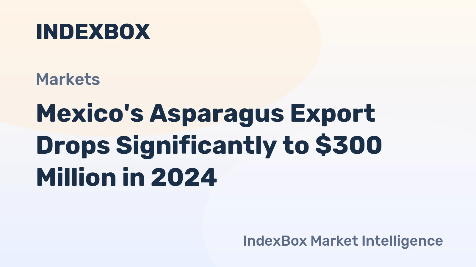 Mexico's Asparagus Export Drops Significantly to $300 Million in 2024