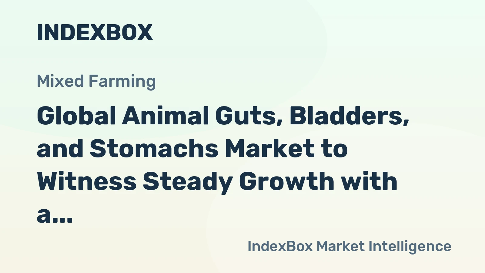 Global Animal Guts, Bladders, and Stomachs Market to Witness Steady Growth with a CAGR of +1.0% from 2024 to 2035