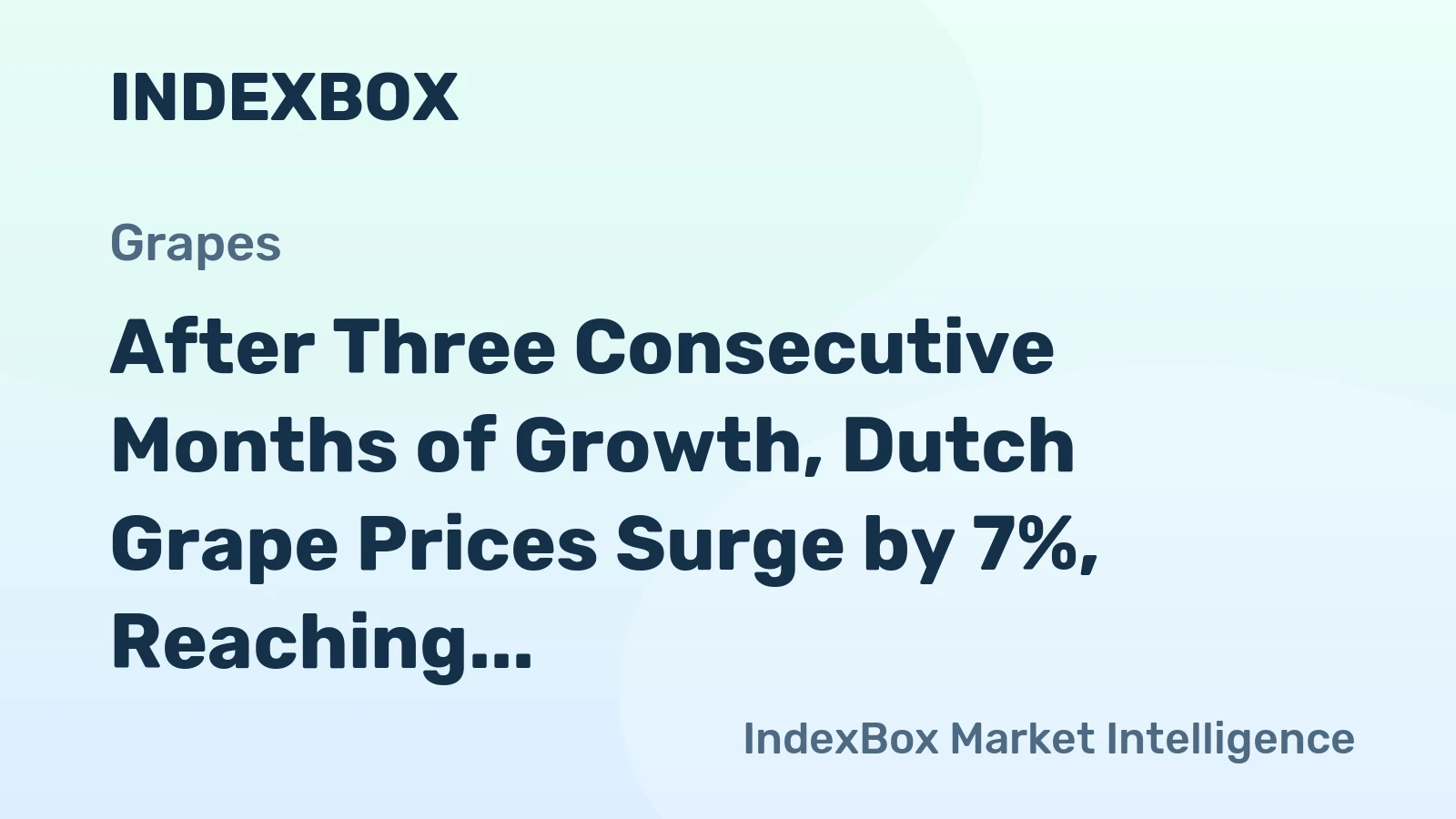 After Three Consecutive Months of Growth, Dutch Grape Prices Surge by 7%, Reaching An Average of $3,172 per Ton