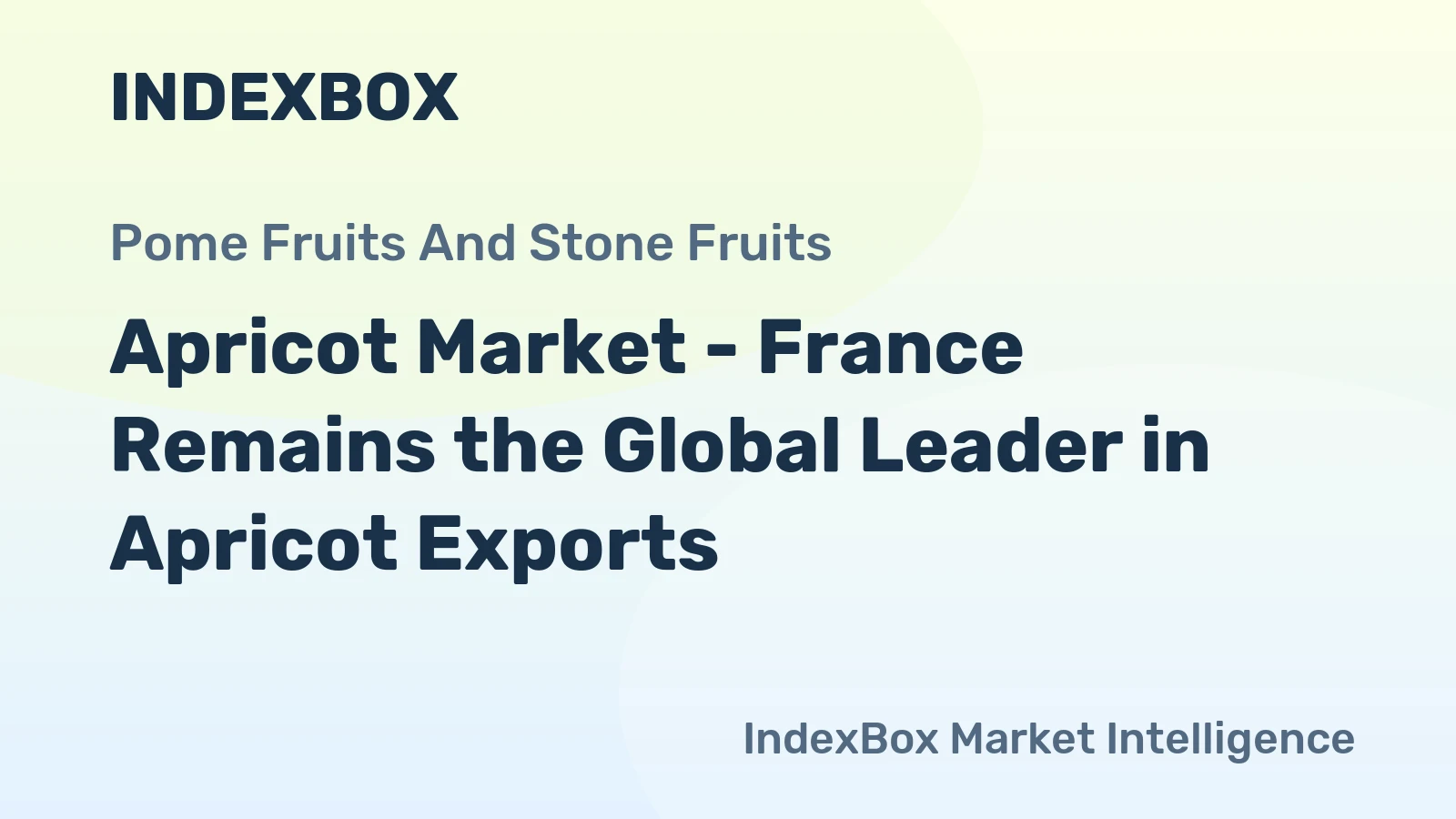 Apricot Market - France Remains the Global Leader in Apricot Exports