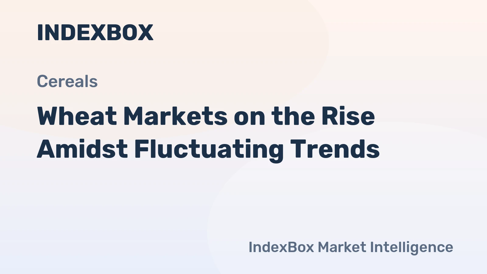 Wheat Markets on the Rise Amidst Fluctuating Trends