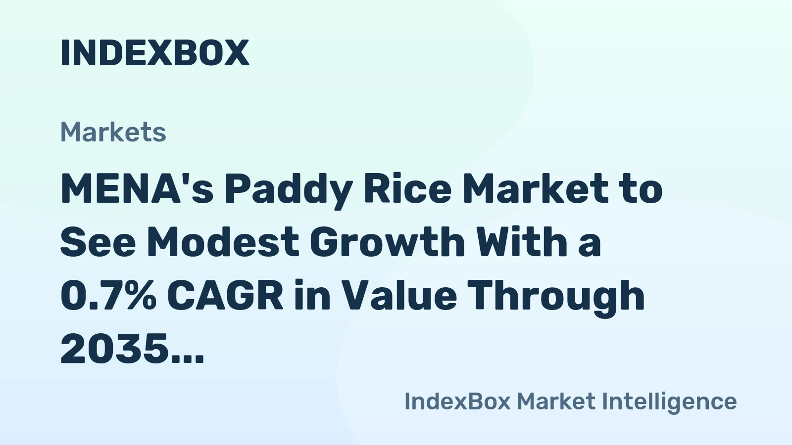 MENA's Paddy Rice Market to See Modest Growth With a 0.7% CAGR in Value Through 2035