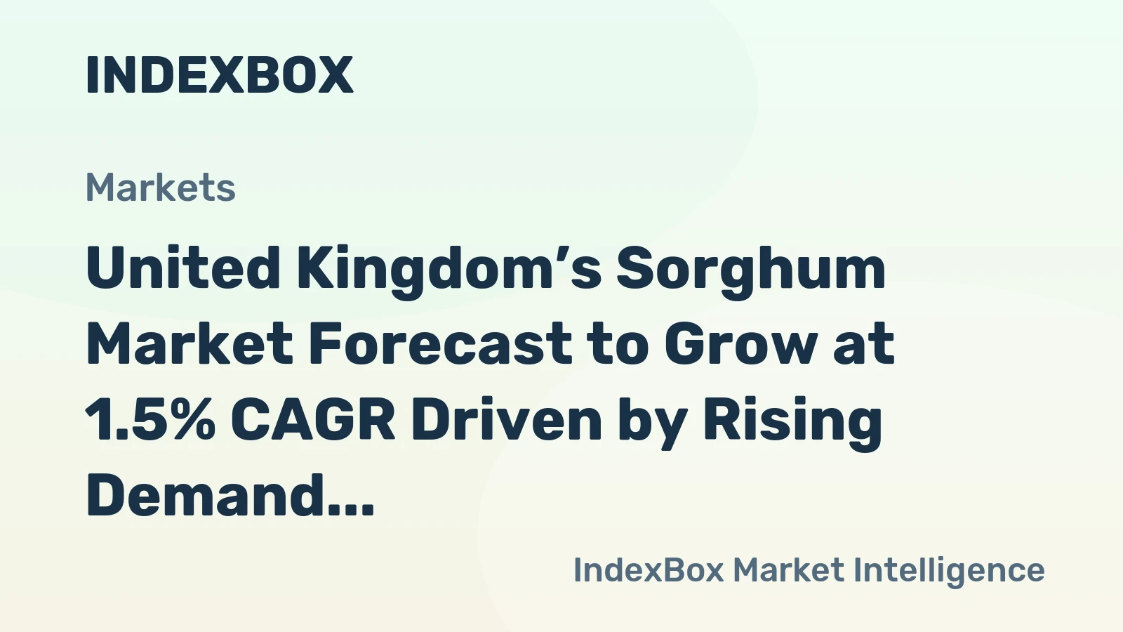 United Kingdom’s Sorghum Market Forecast to Grow at 1.5% CAGR Driven by Rising Demand