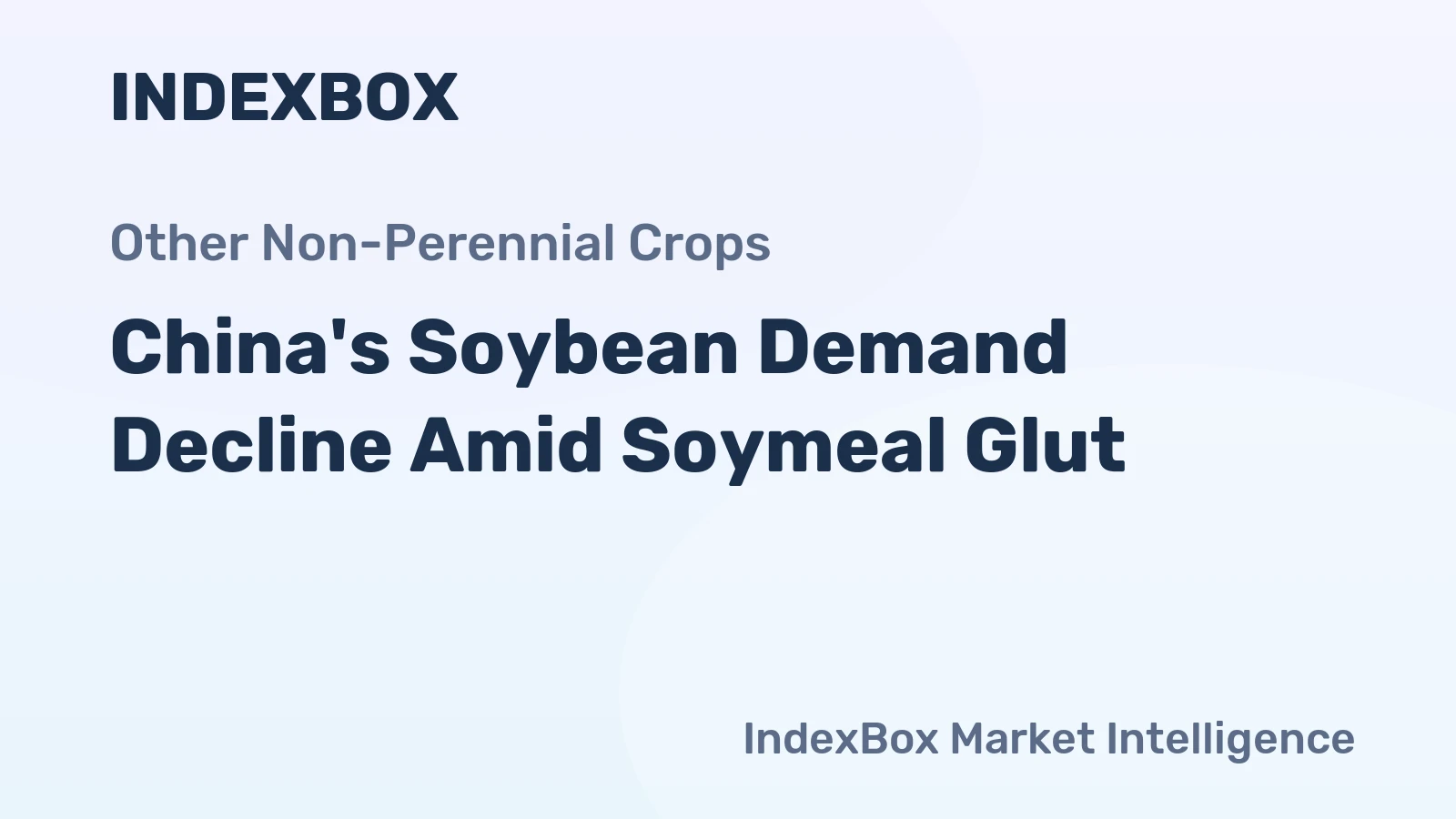 China's Soybean Demand Decline Amid Soymeal Glut