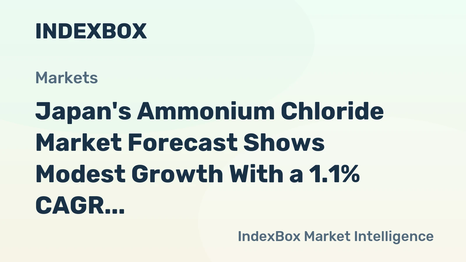 Japan's Ammonium Chloride Market Forecast Shows Modest Growth With a 1.1% CAGR in Value