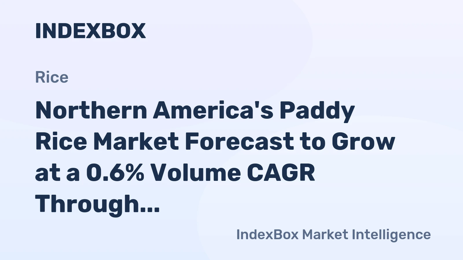 Northern America's Paddy Rice Market Forecast to Grow at a 0.6% Volume CAGR Through 2035