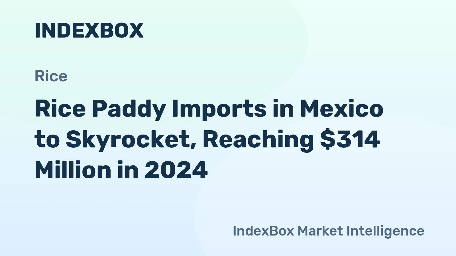 Rice Paddy Imports in Mexico to Skyrocket, Reaching $314 Million in 2024