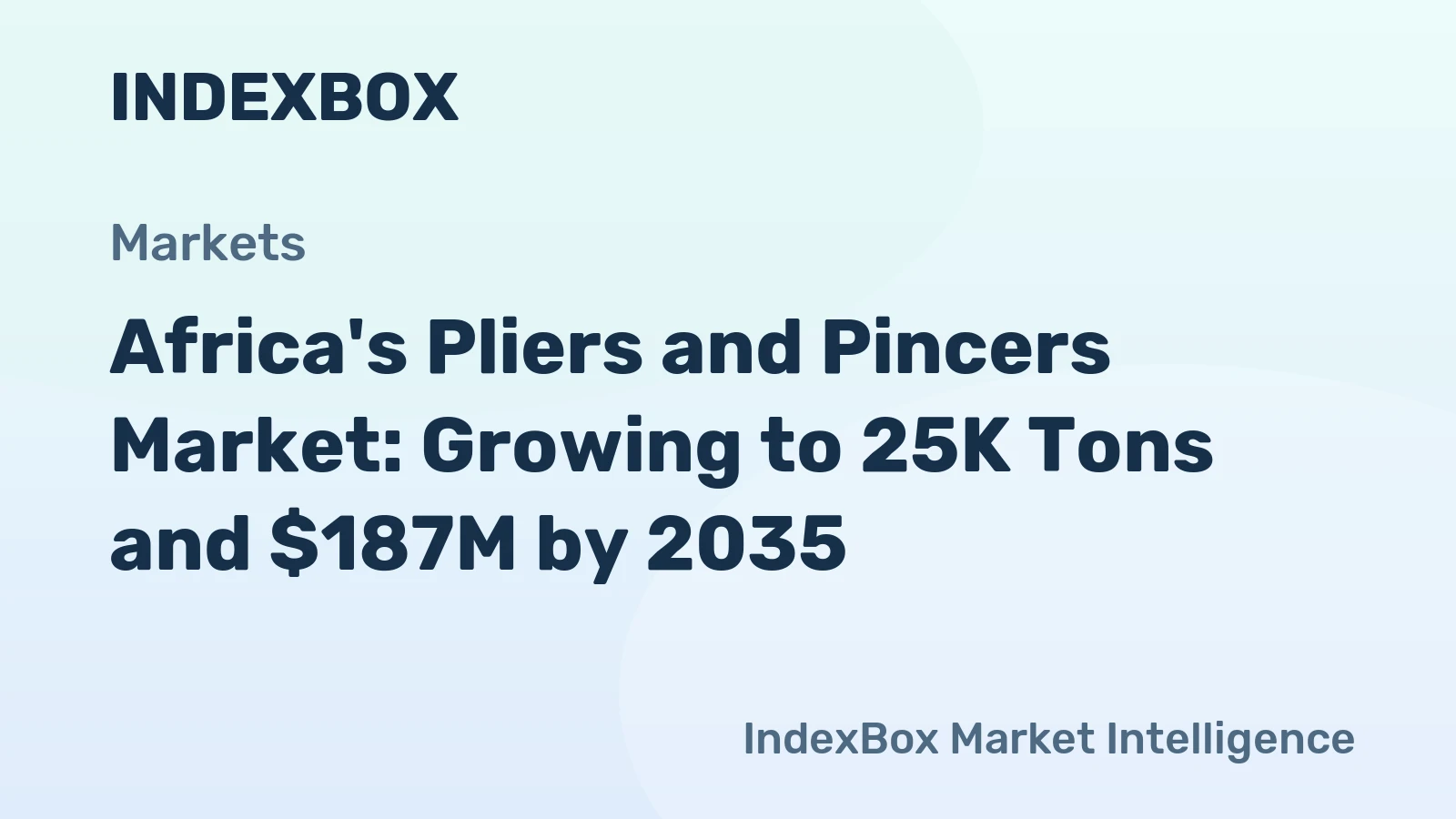 Africa's Pliers and Pincers Market: Growing to 25K Tons and $187M by 2035