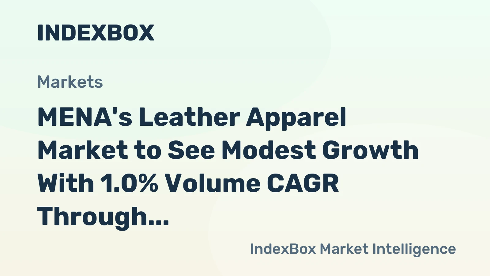 MENA's Leather Apparel Market to See Modest Growth With 1.0% Volume CAGR Through 2035