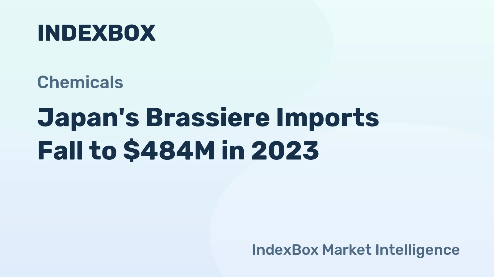 Japan's Brassiere Imports Fall to $484M in 2023