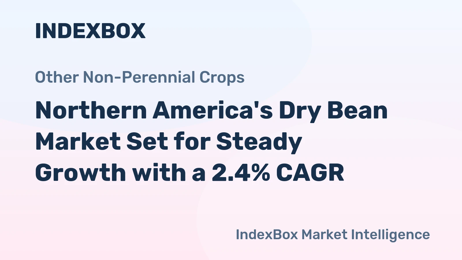 Northern America's Dry Bean Market Set for Steady Growth with a 2.4% CAGR