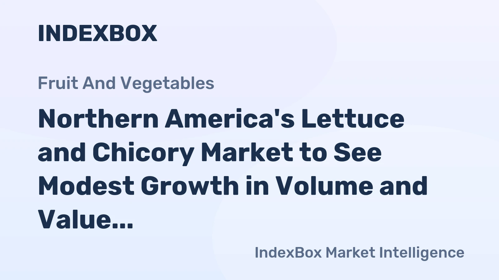 Northern America's Lettuce and Chicory Market to See Modest Growth in Volume and Value