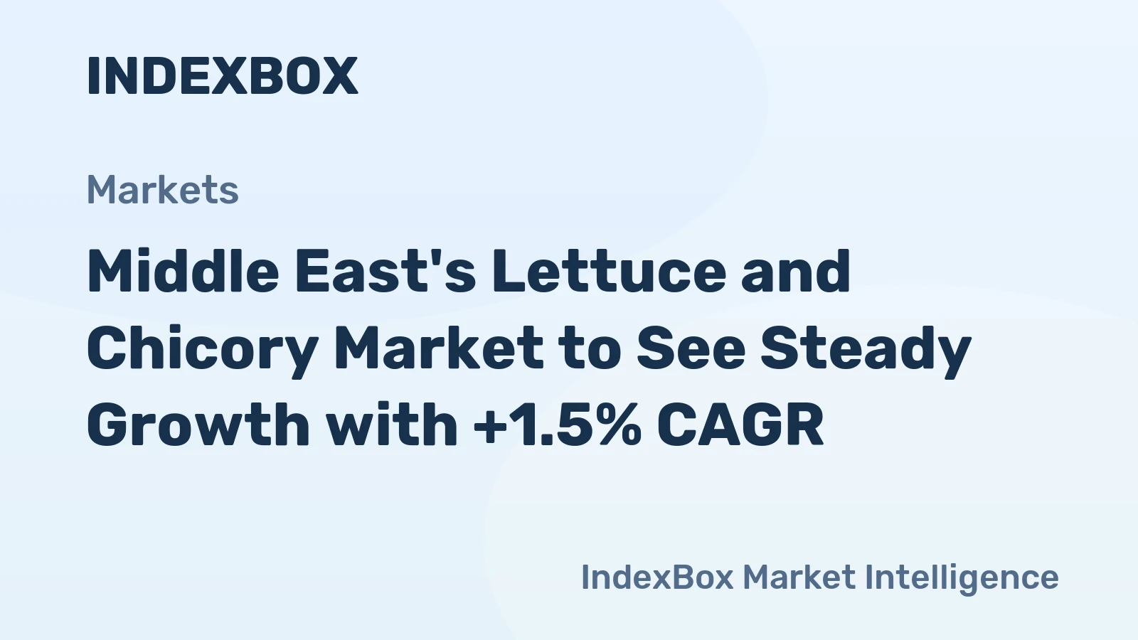 Middle East's Lettuce and Chicory Market to See Steady Growth with +1.5% CAGR
