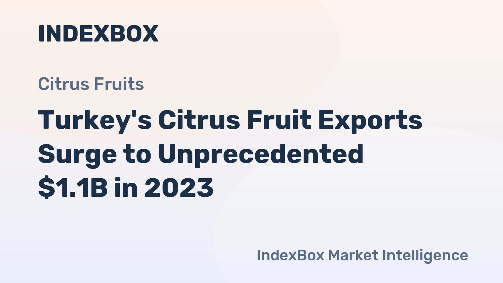 Turkey's Citrus Fruit Exports Surge to Unprecedented $1.1B in 2023