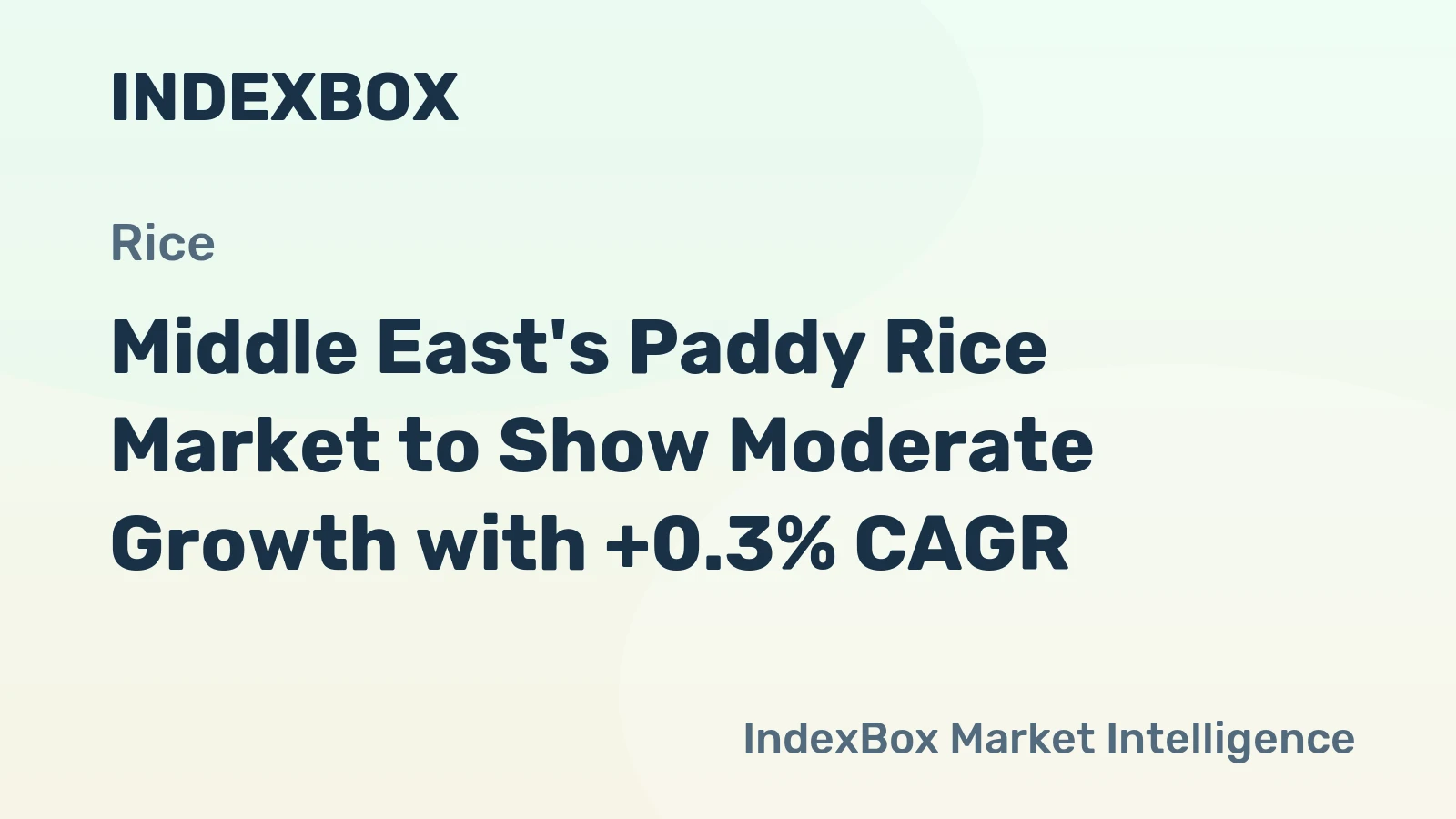 Middle East's Paddy Rice Market to Show Moderate Growth with +0.3% CAGR