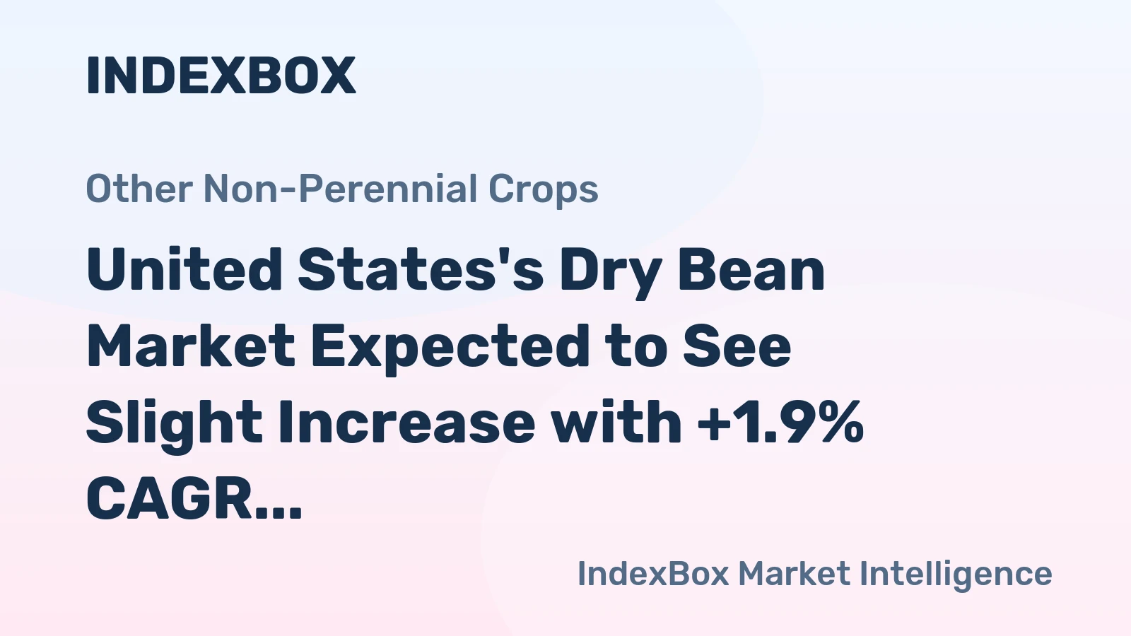 United States's Dry Bean Market Expected to See Slight Increase with +1.9% CAGR Over Next Decade