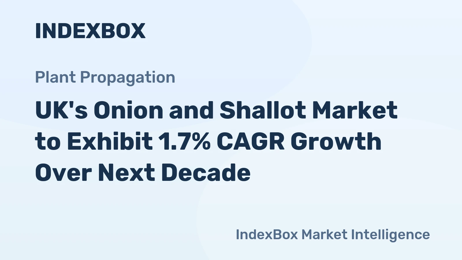 UK's Onion and Shallot Market to Exhibit 1.7% CAGR Growth Over Next Decade