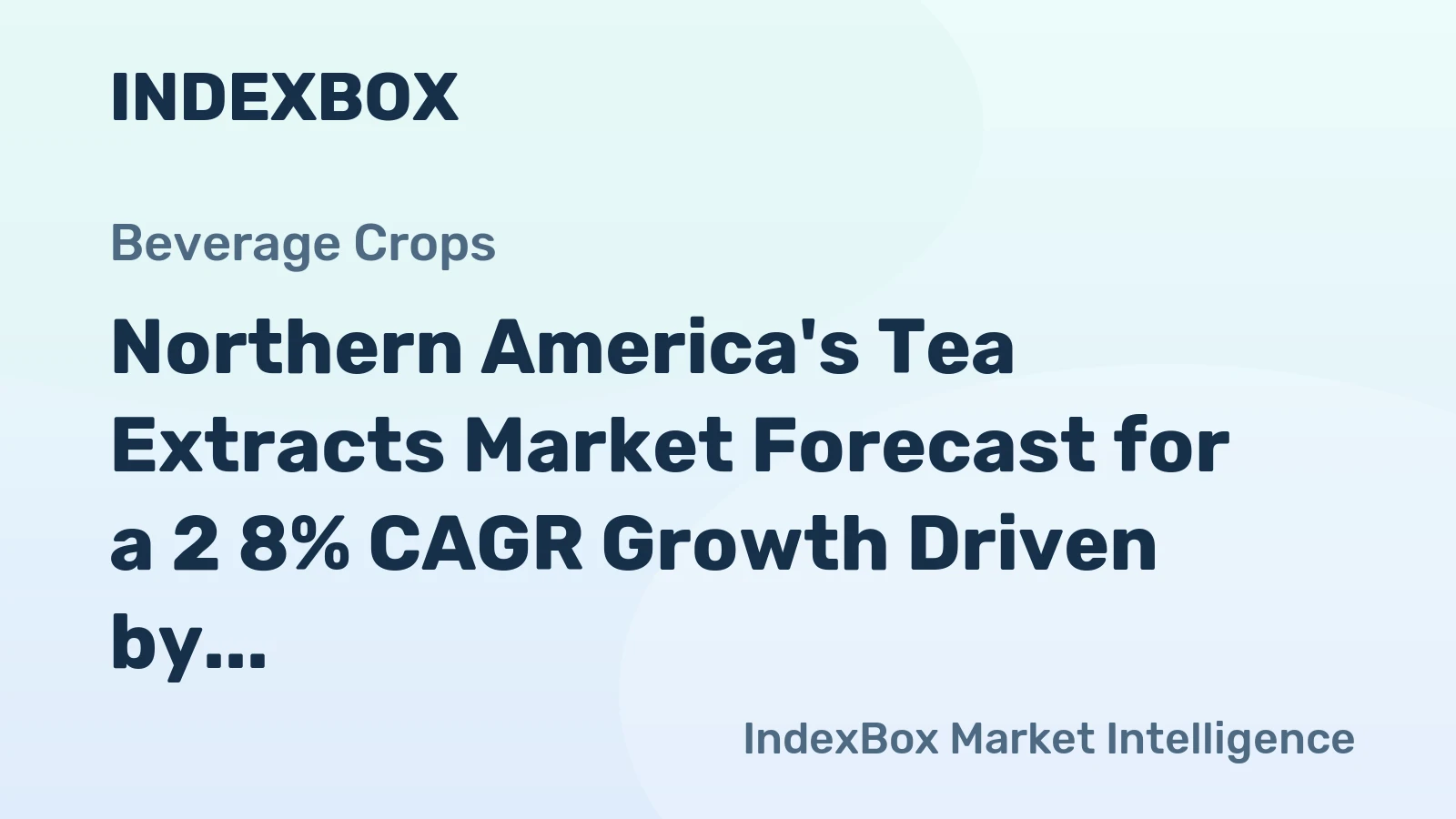 Northern America's Tea Extracts Market Forecast for a 2 8% CAGR Growth Driven by Rising Demand