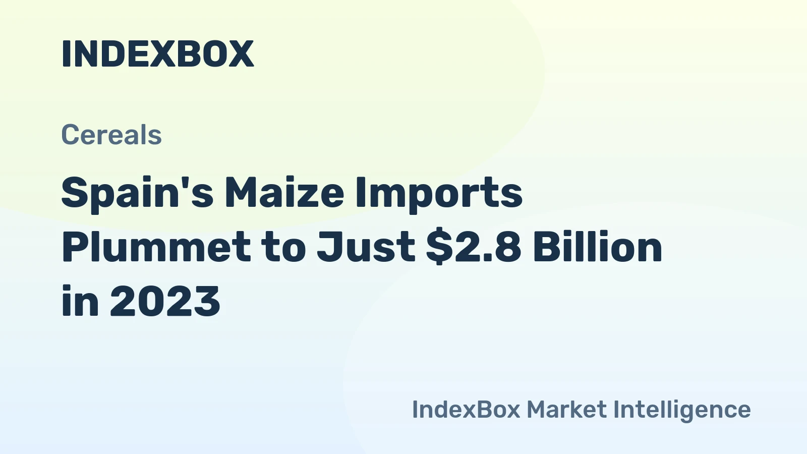 Spain's Maize Imports Plummet to Just $2.8 Billion in 2023