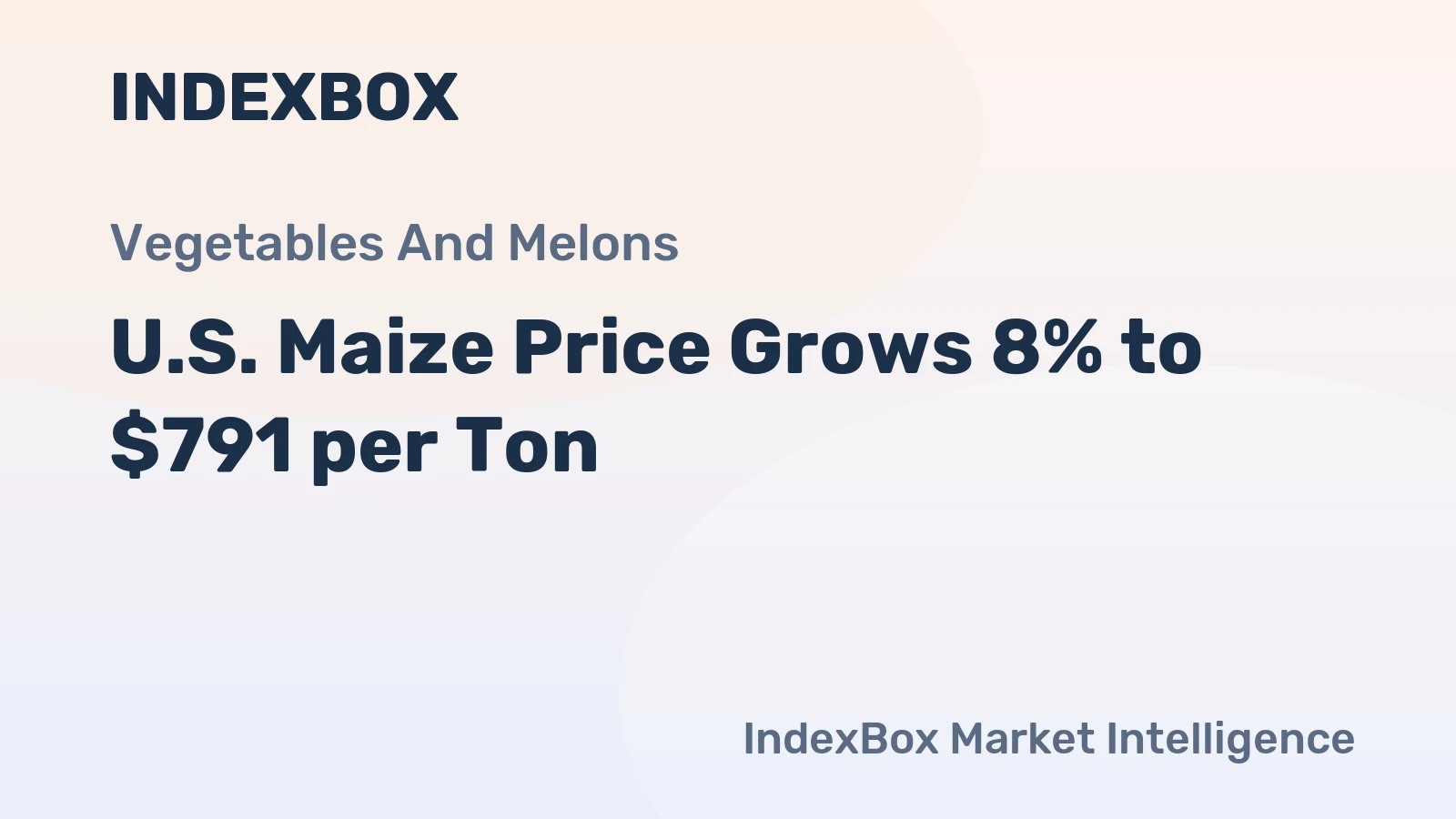 U.S. Maize Price Grows 8% to $791 per Ton