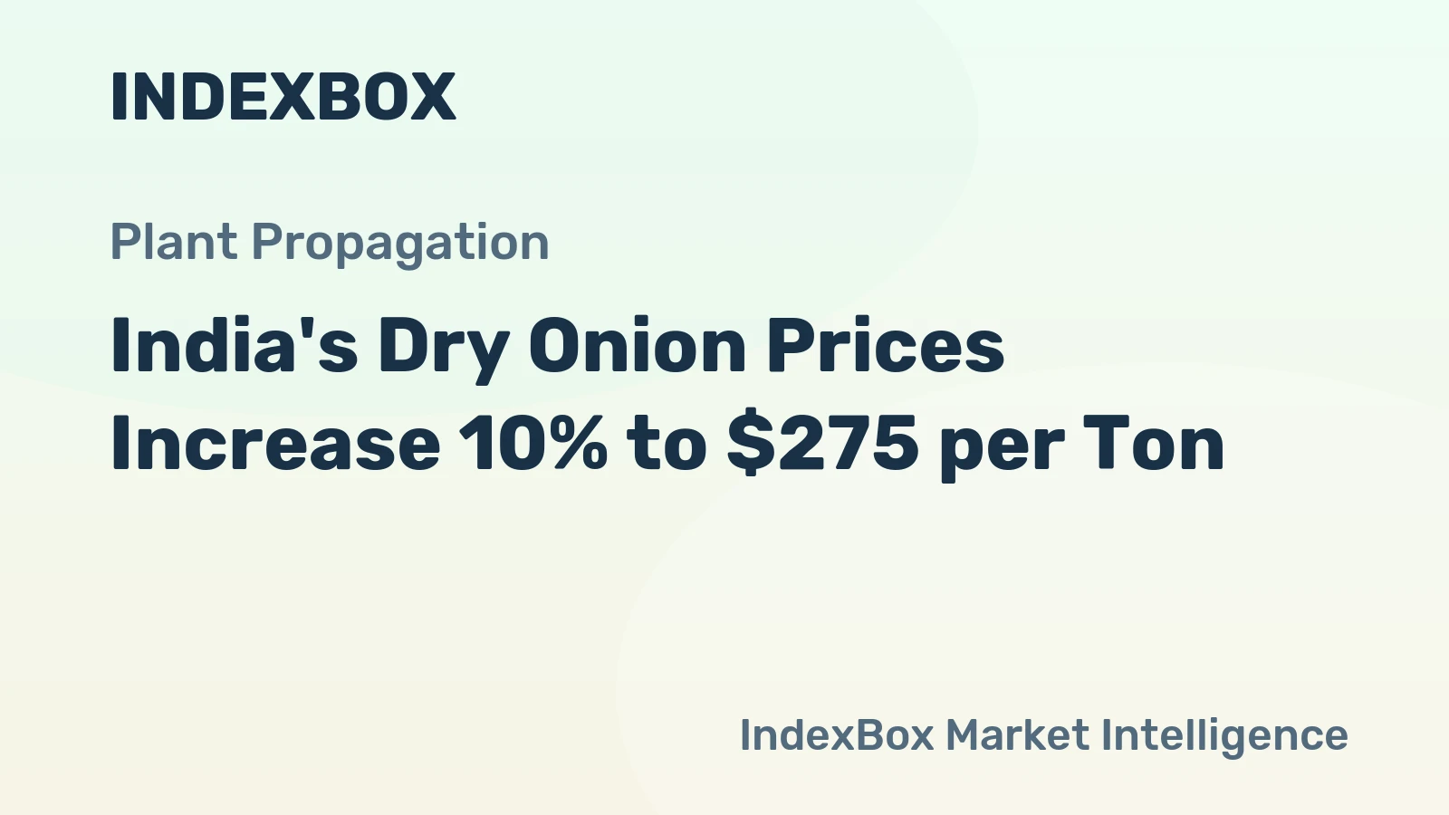 India's Dry Onion Prices Increase 10% to $275 per Ton
