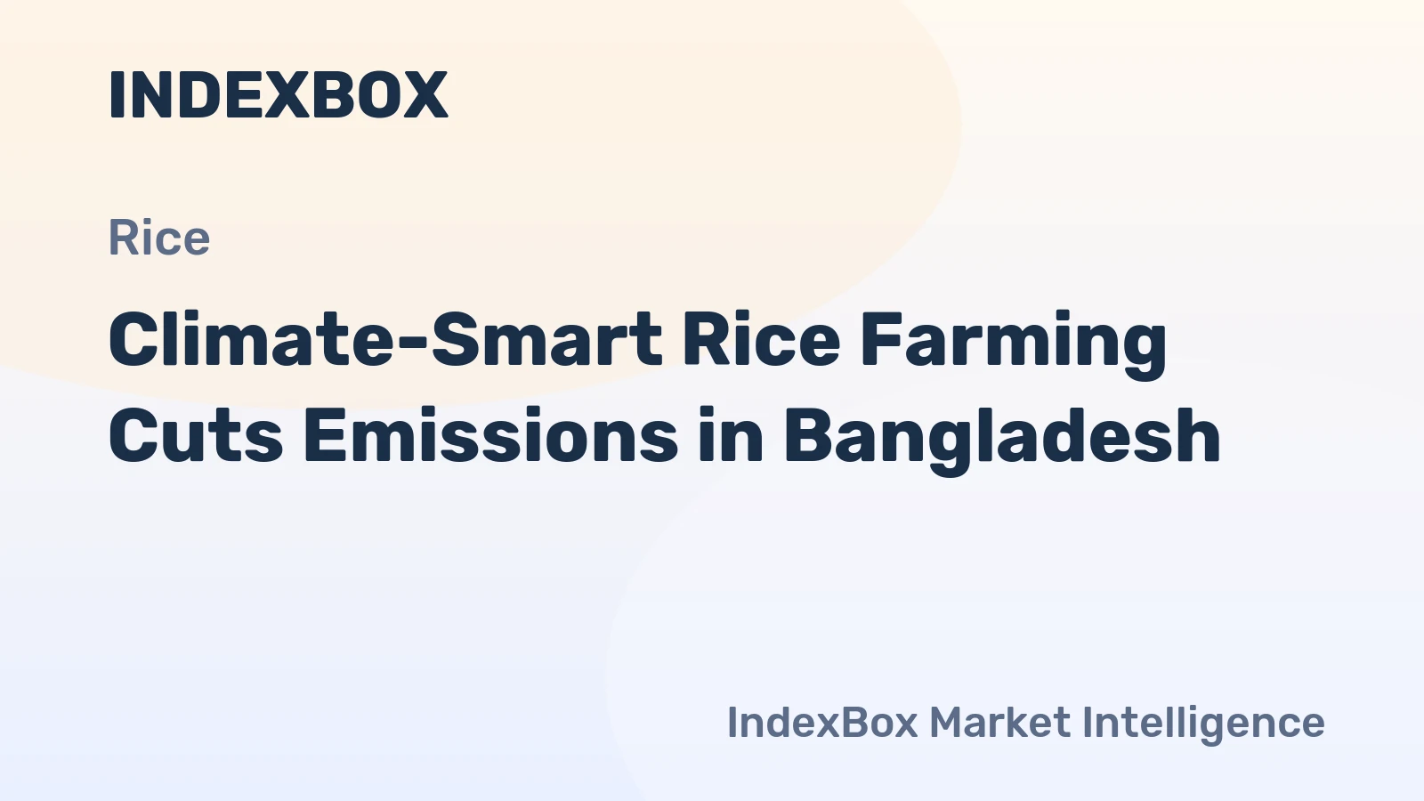 Climate-Smart Rice Farming Cuts Emissions in Bangladesh