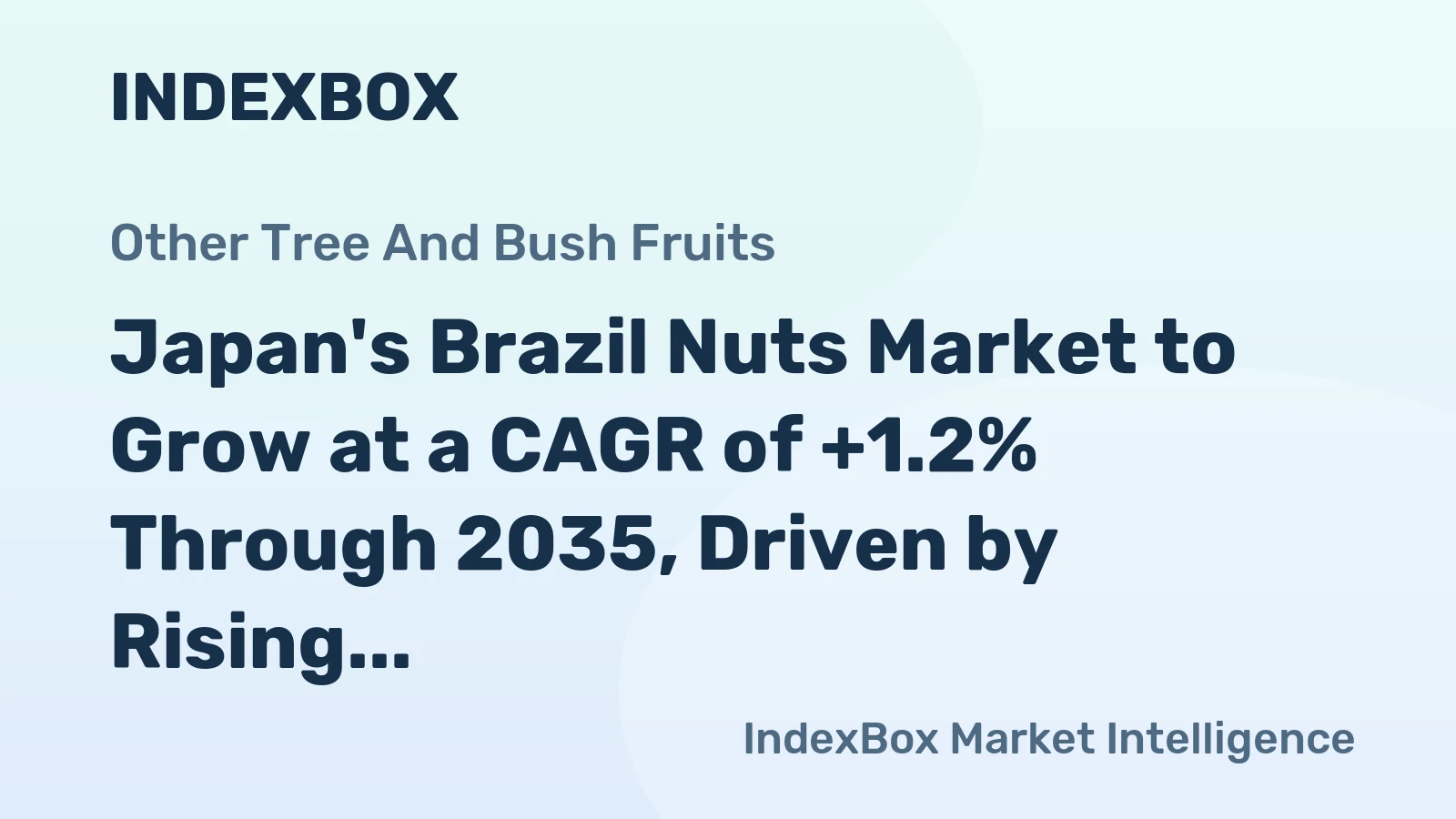 Japan's Brazil Nuts Market to Grow at a CAGR of +1.2% Through 2035, Driven by Rising Demand