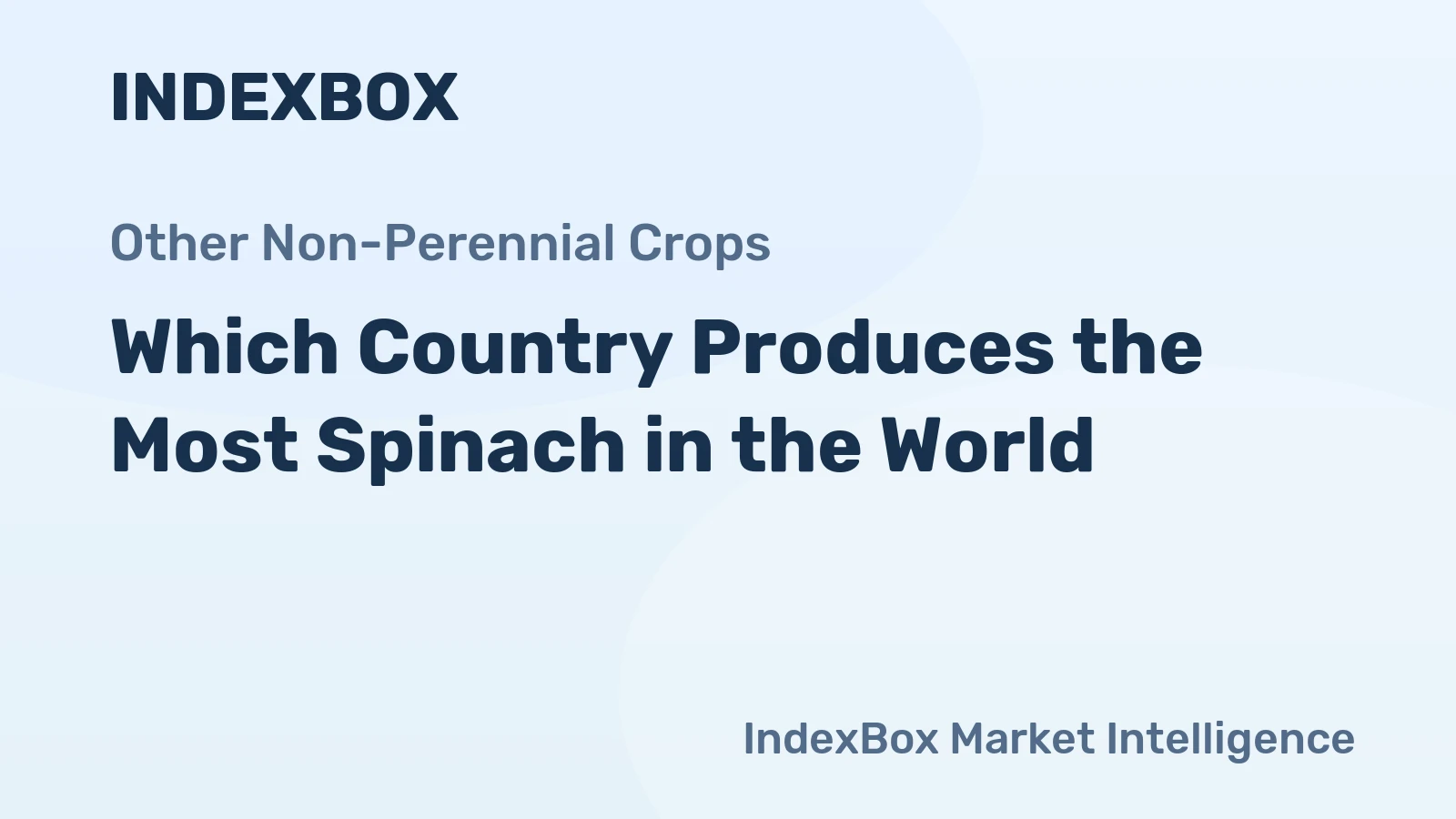 Which Country Produces the Most Spinach in the World?