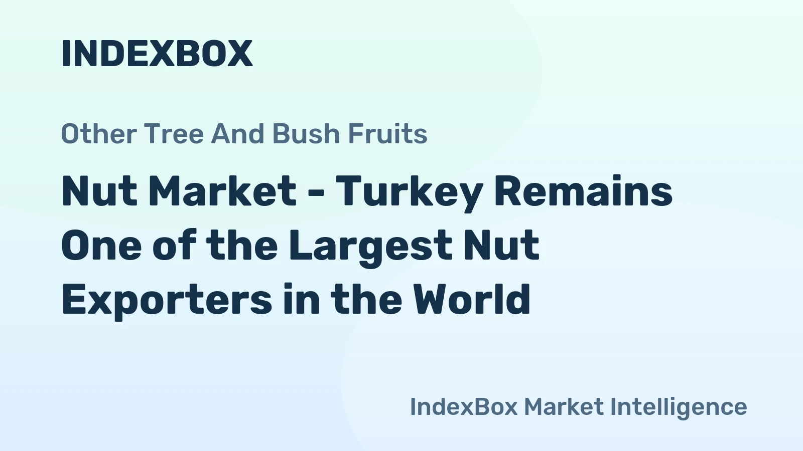 Nut Market - Turkey Remains One of the Largest Nut Exporters in the World