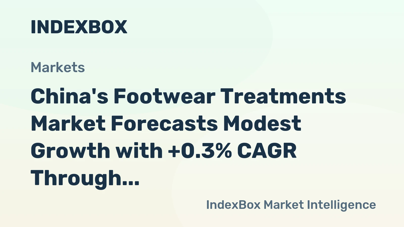 China's Footwear Treatments Market Forecasts Modest Growth with +0.3% CAGR Through 2035