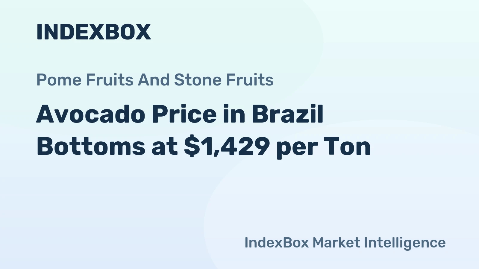 Avocado Price in Brazil Bottoms at $1,429 per Ton