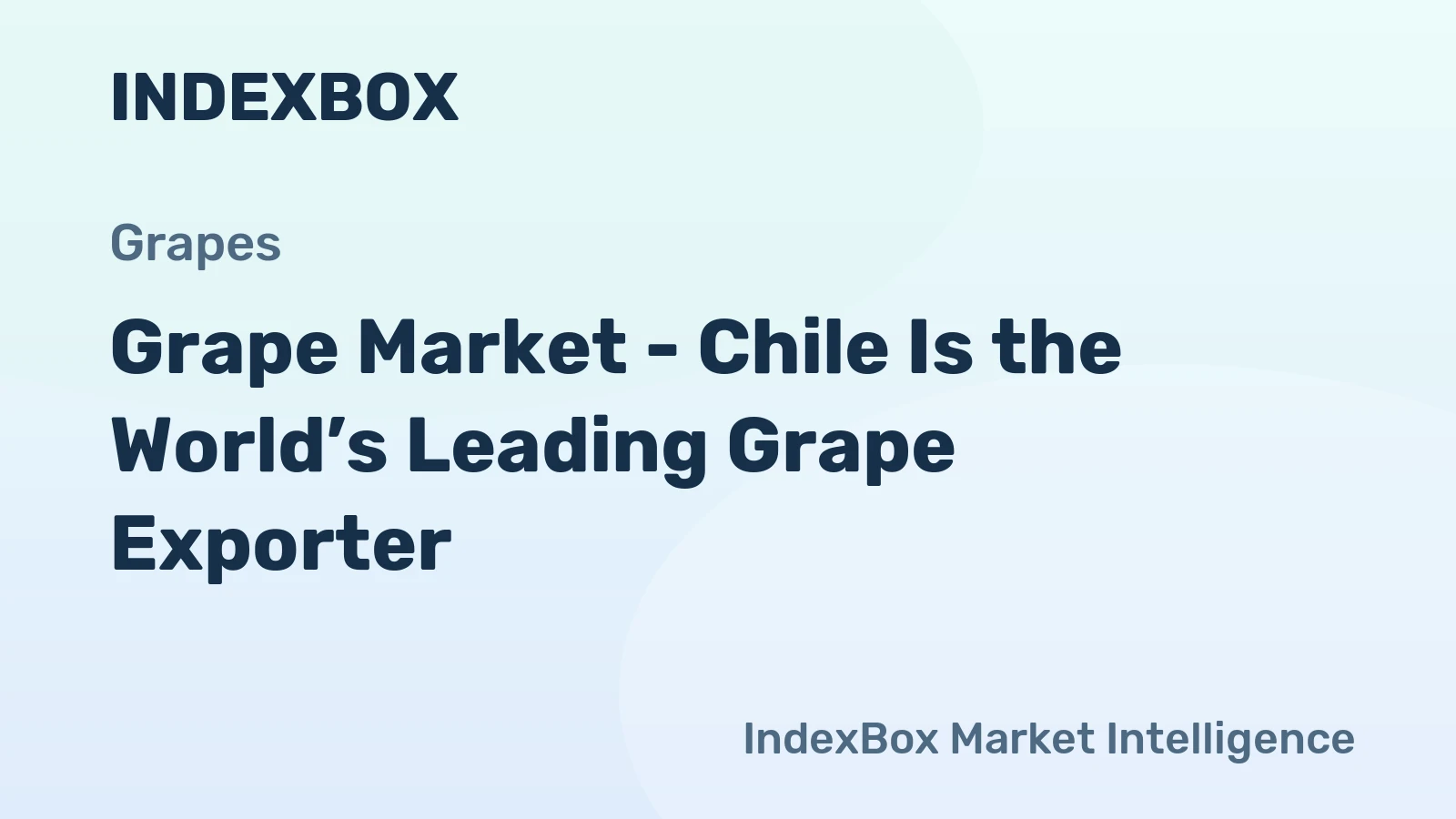 Grape Market - Chile Is the World’s Leading Grape Exporter 