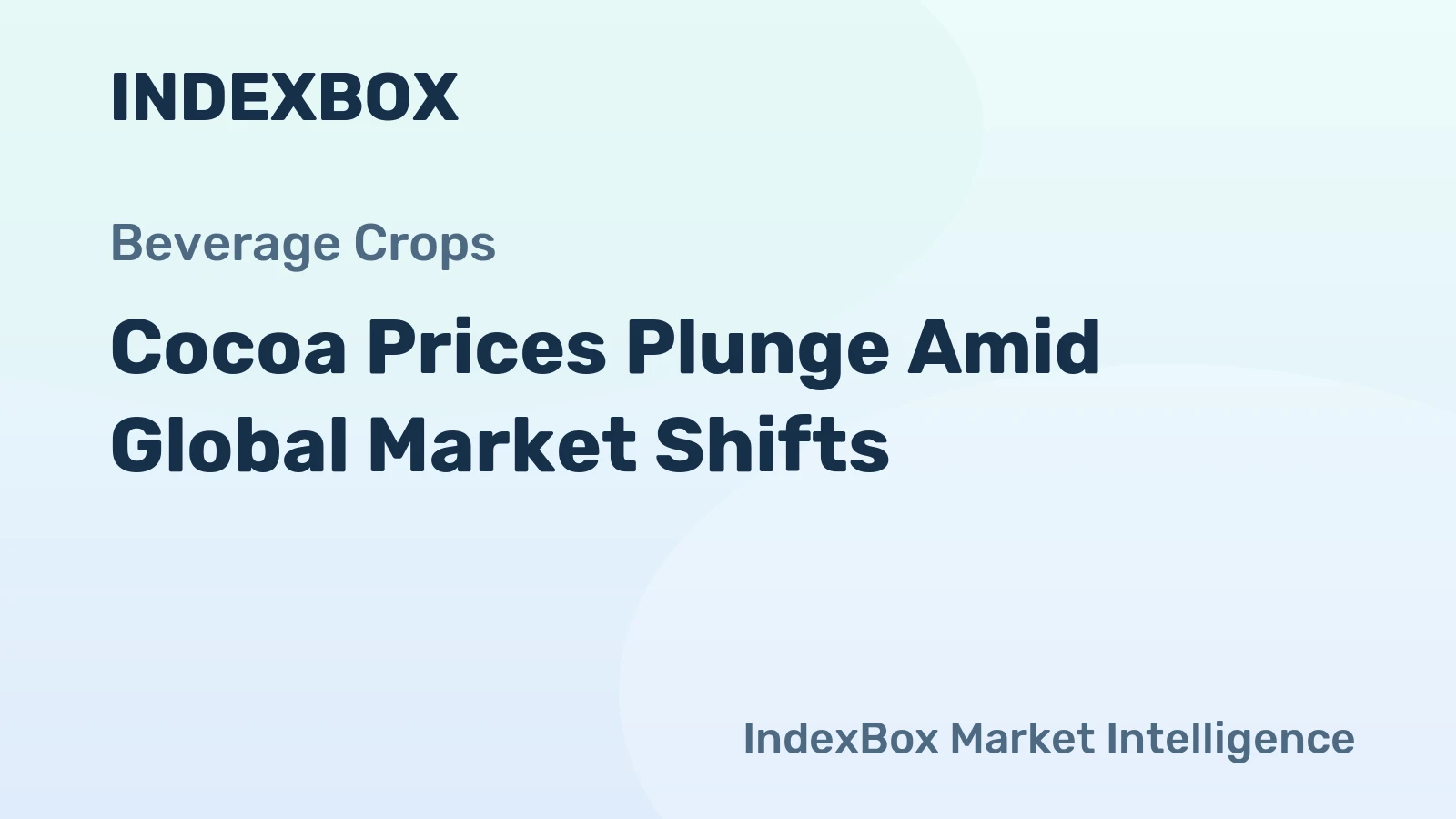 Cocoa Prices Plunge Amid Global Market Shifts