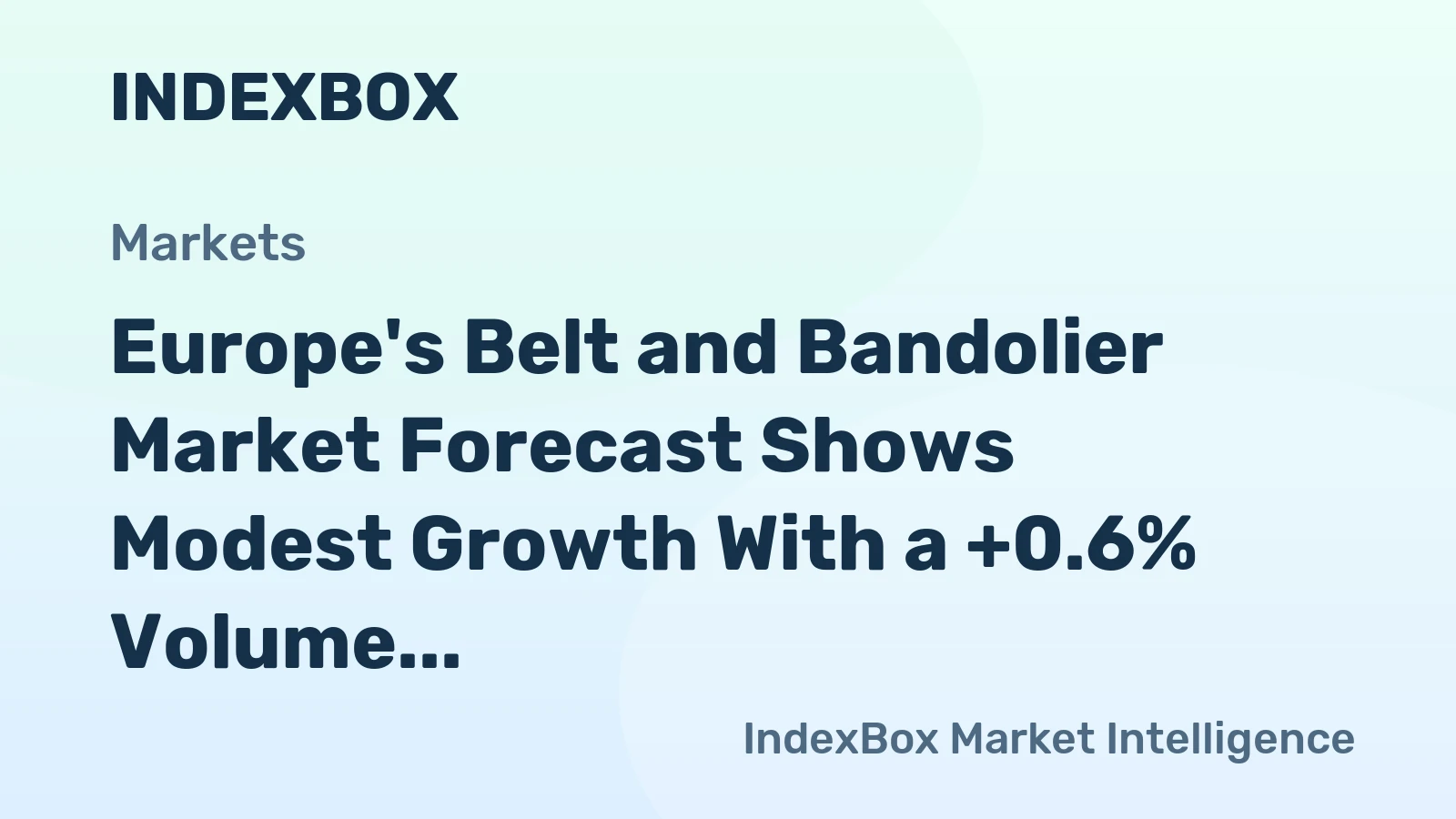 Europe's Belt and Bandolier Market Forecast Shows Modest Growth With a +0.6% Volume CAGR