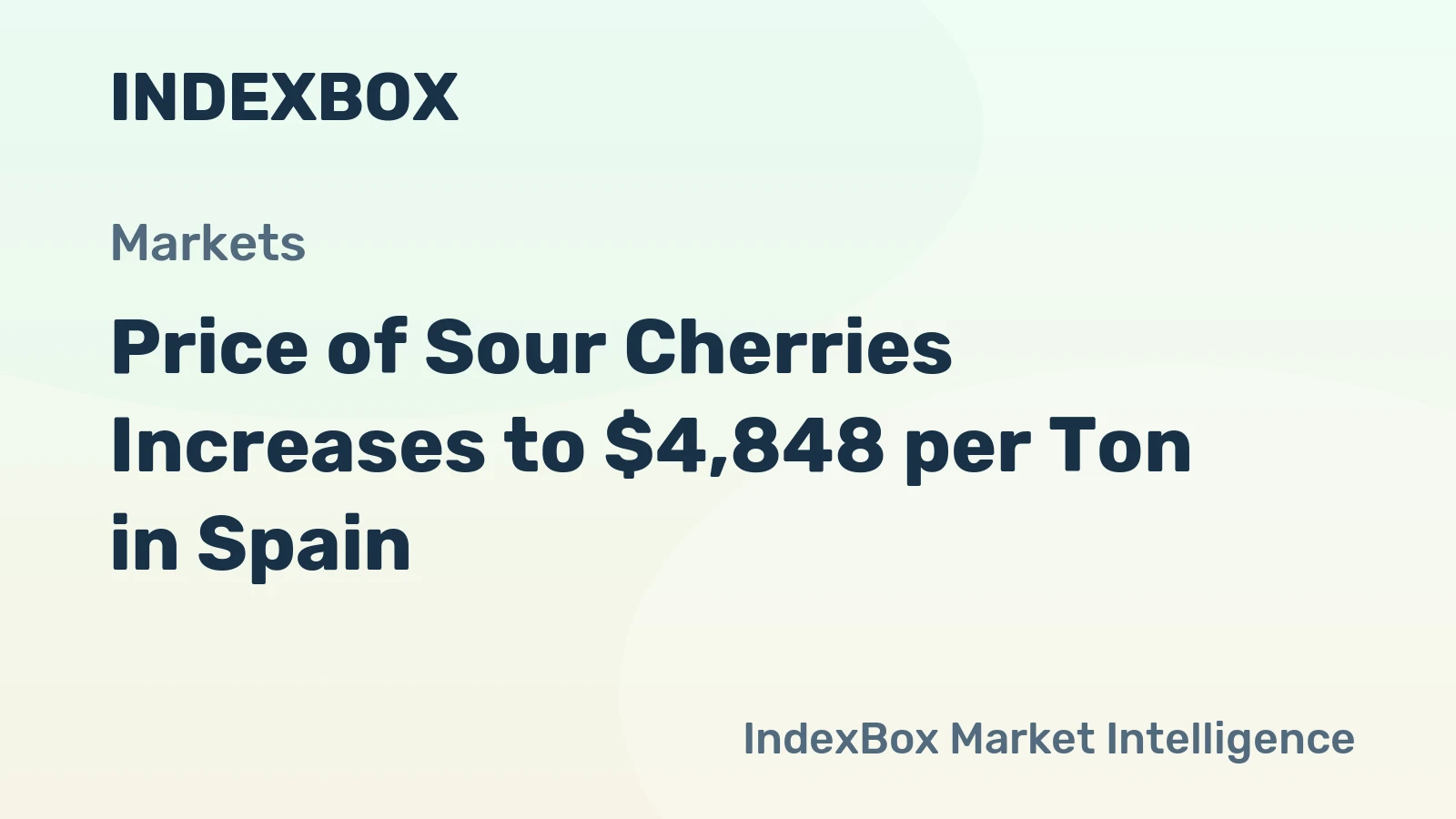 Price of Sour Cherries Increases to $4,848 per Ton in Spain