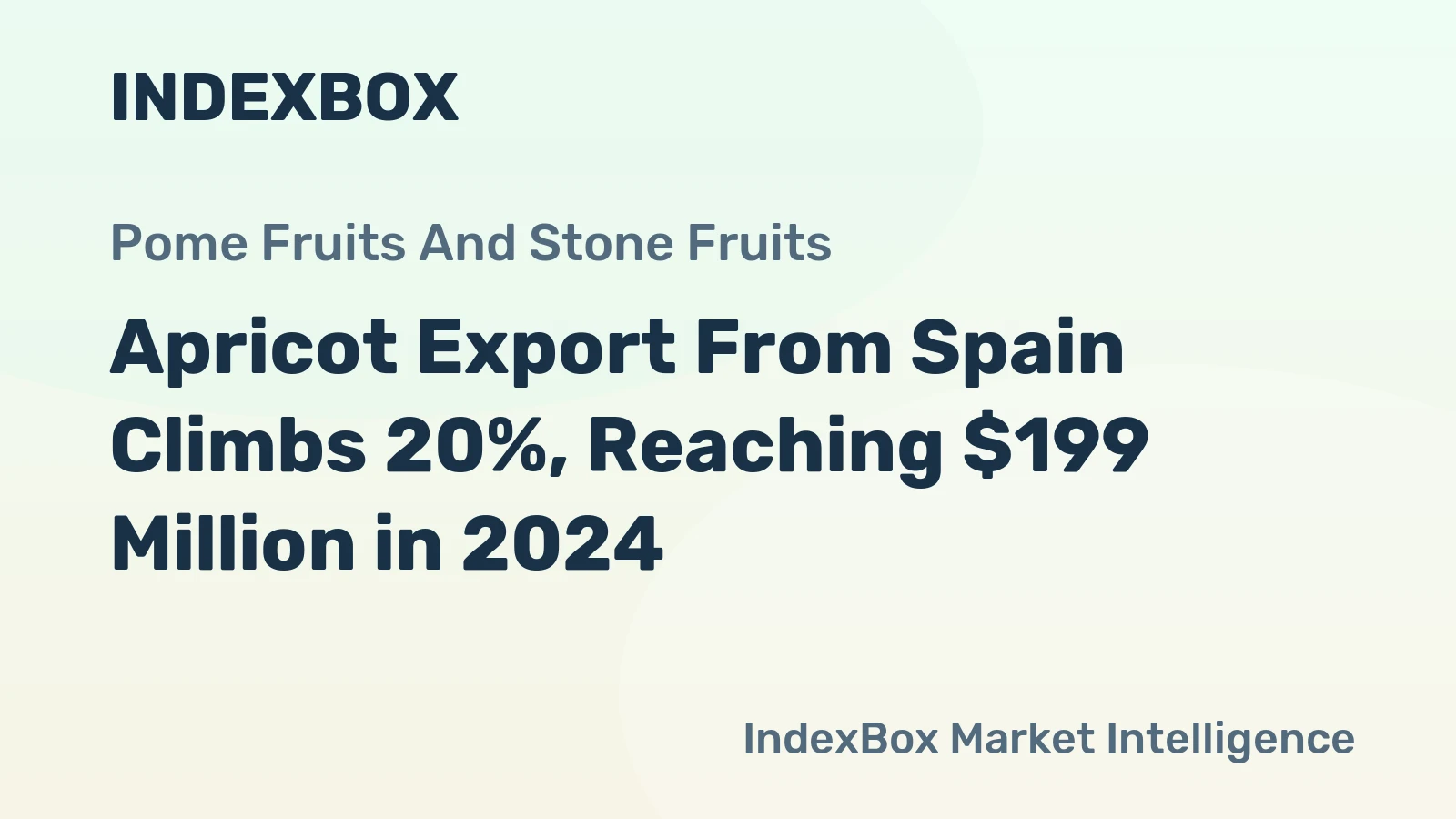 Apricot Export From Spain Climbs 20%, Reaching $199 Million in 2024