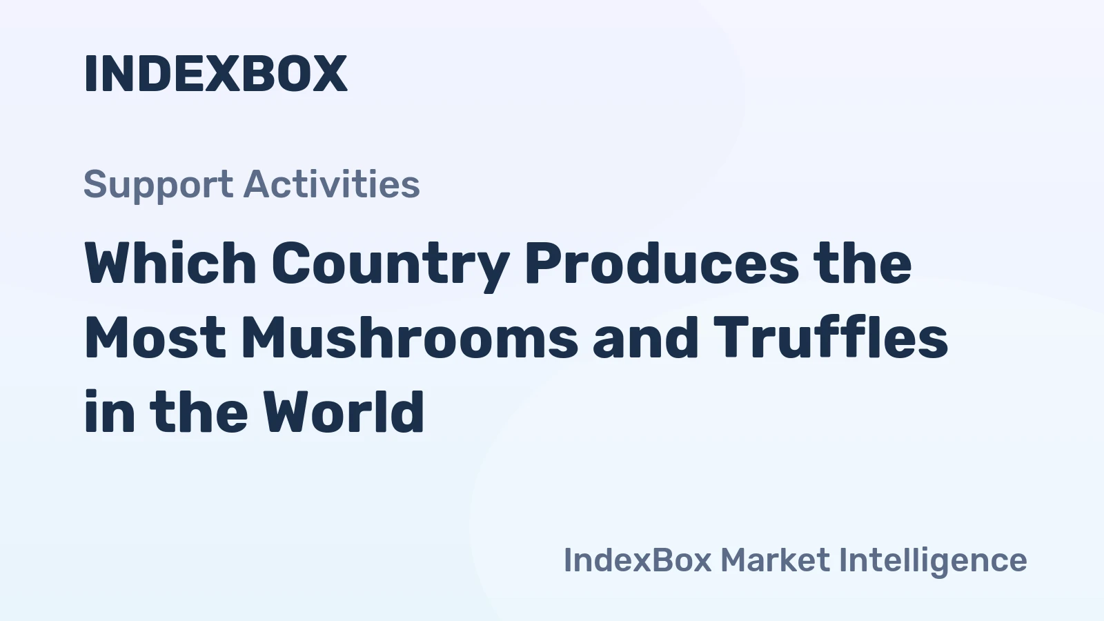Which Country Produces the Most Mushrooms and Truffles in the World?