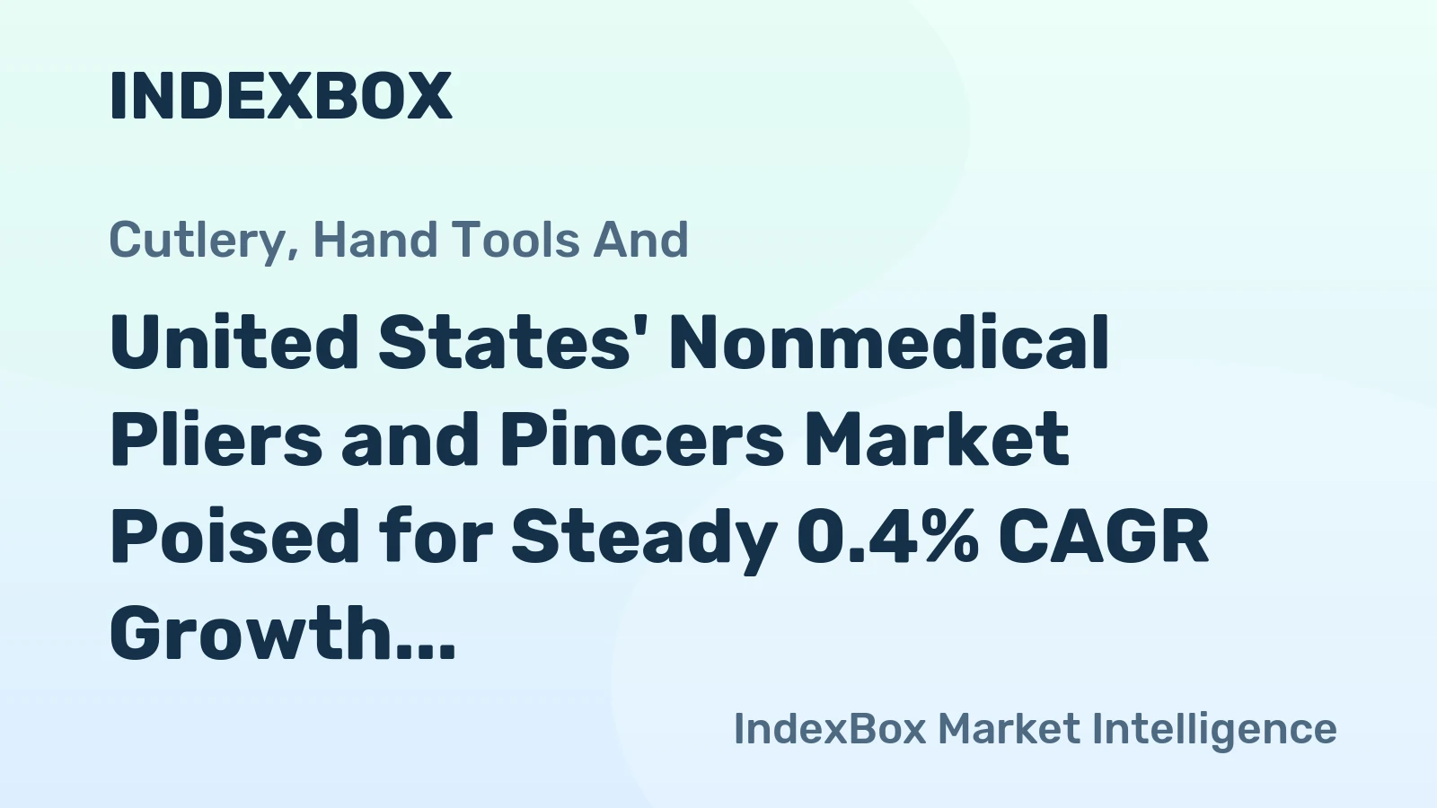 United States' Nonmedical Pliers and Pincers Market Poised for Steady 0.4% CAGR Growth