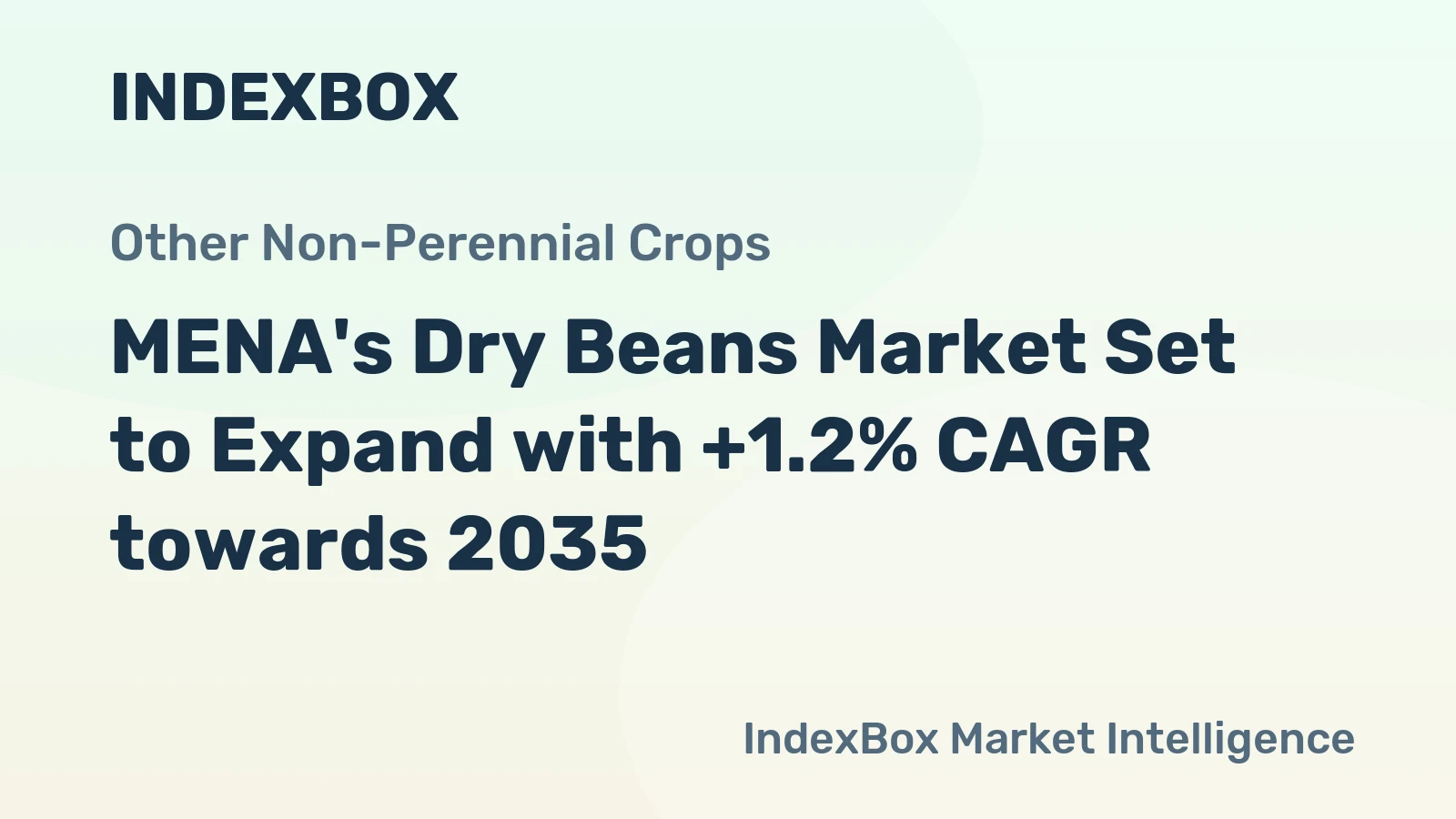 MENA's Dry Beans Market Set to Expand with +1.2% CAGR towards 2035