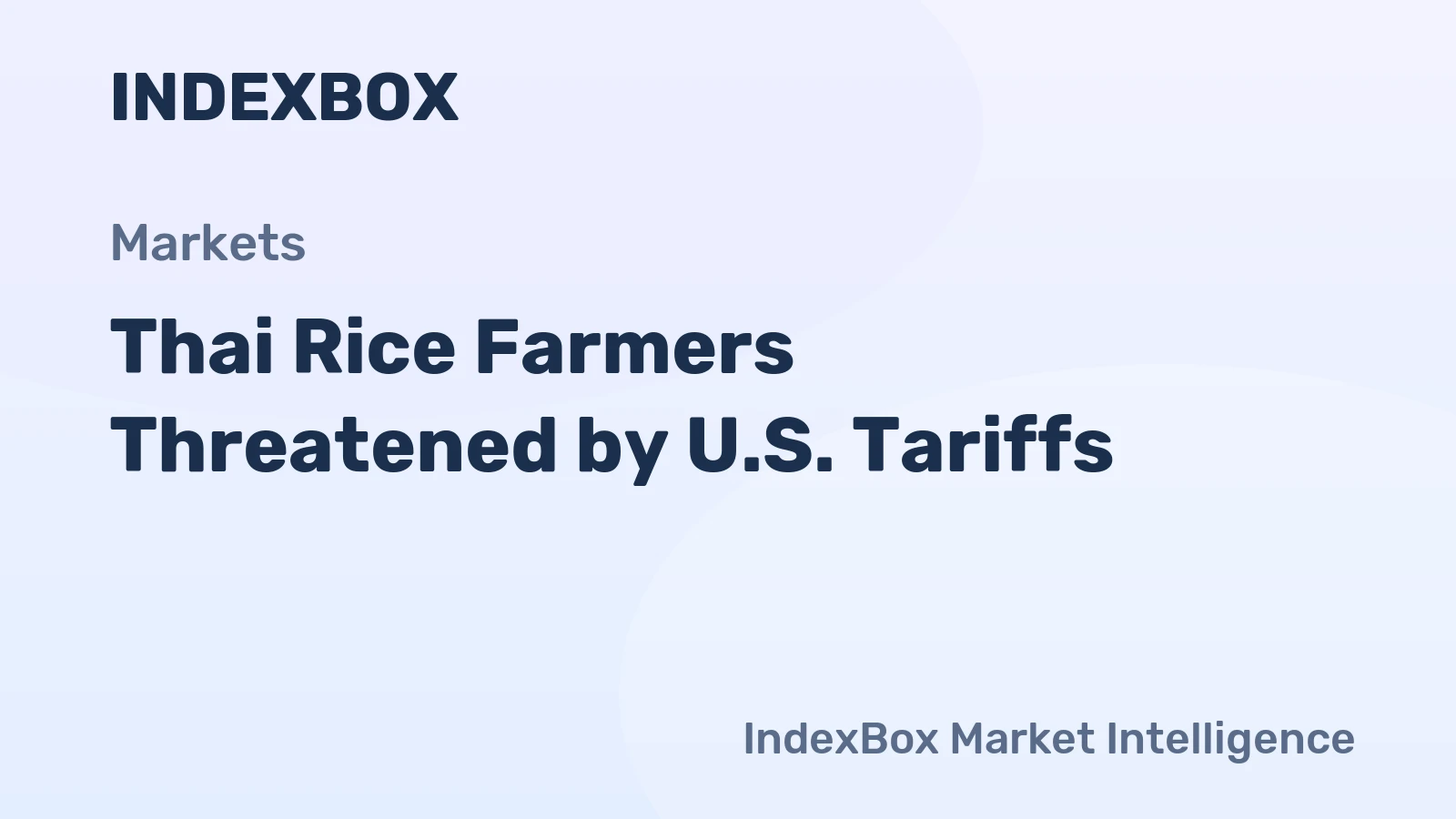 Thai Rice Farmers Threatened by U.S. Tariffs