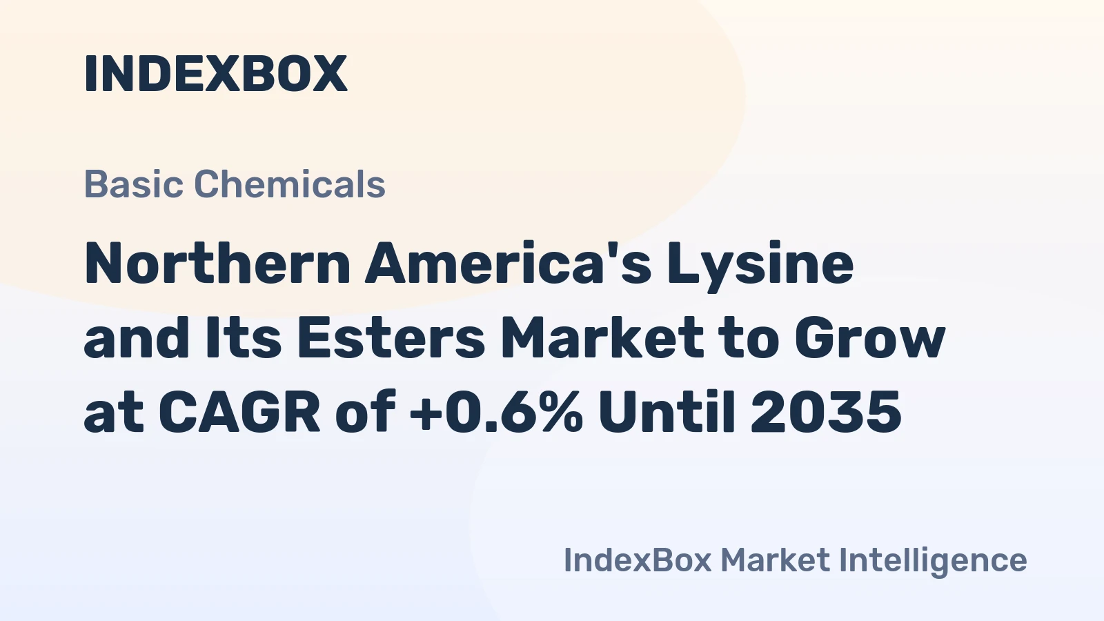 Northern America's Lysine and Its Esters Market to Grow at CAGR of +0.6% Until 2035