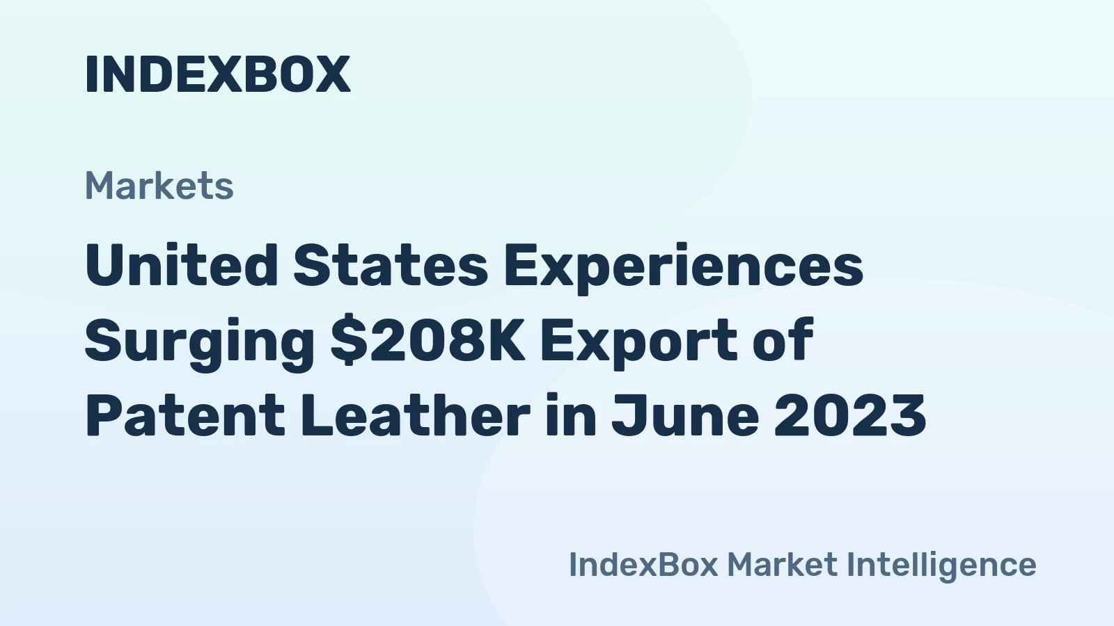 United States Experiences Surging $208K Export of Patent Leather in June 2023