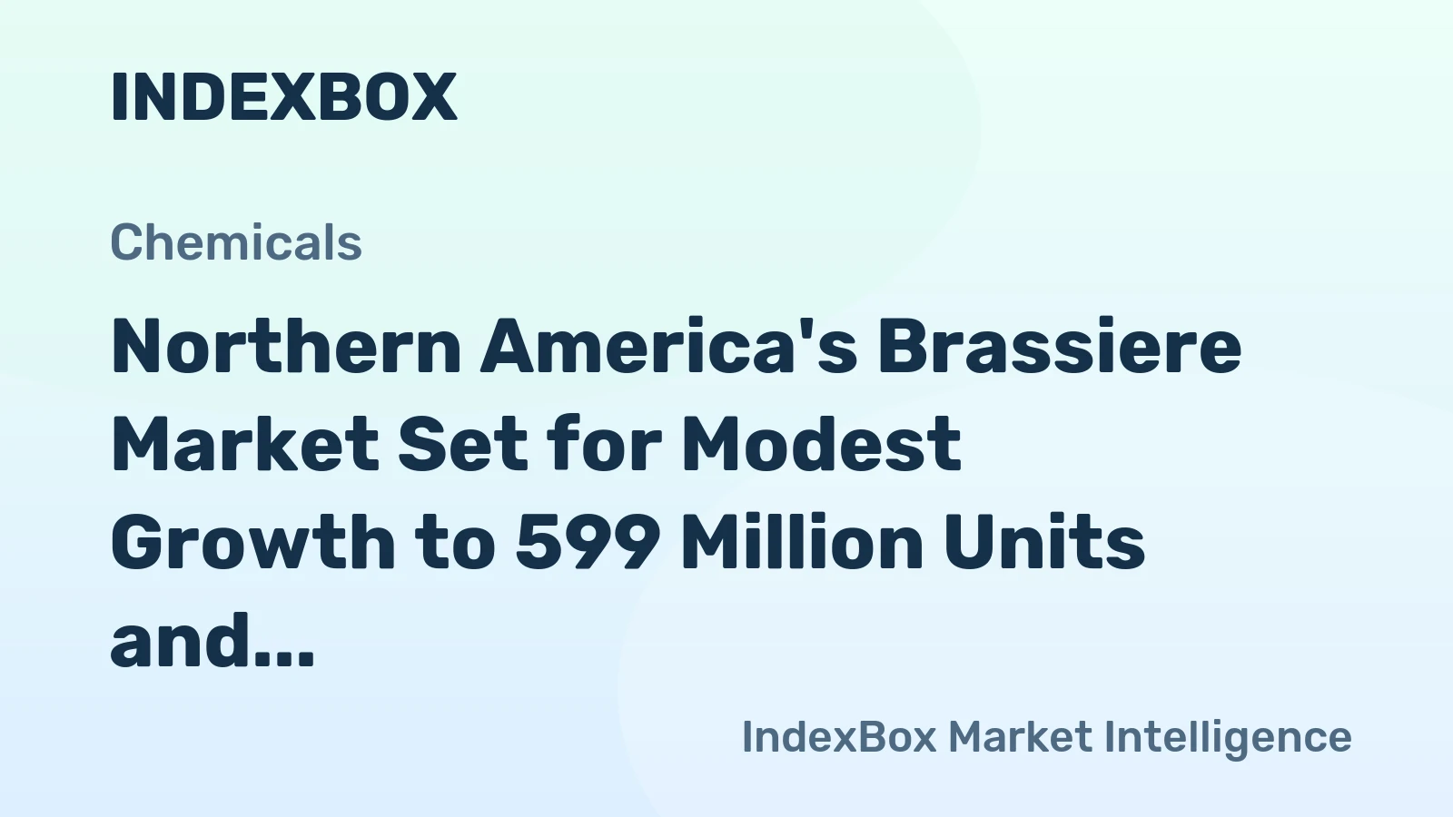 Northern America's Brassiere Market Set for Modest Growth to 599 Million Units and $2.5 Billion Value